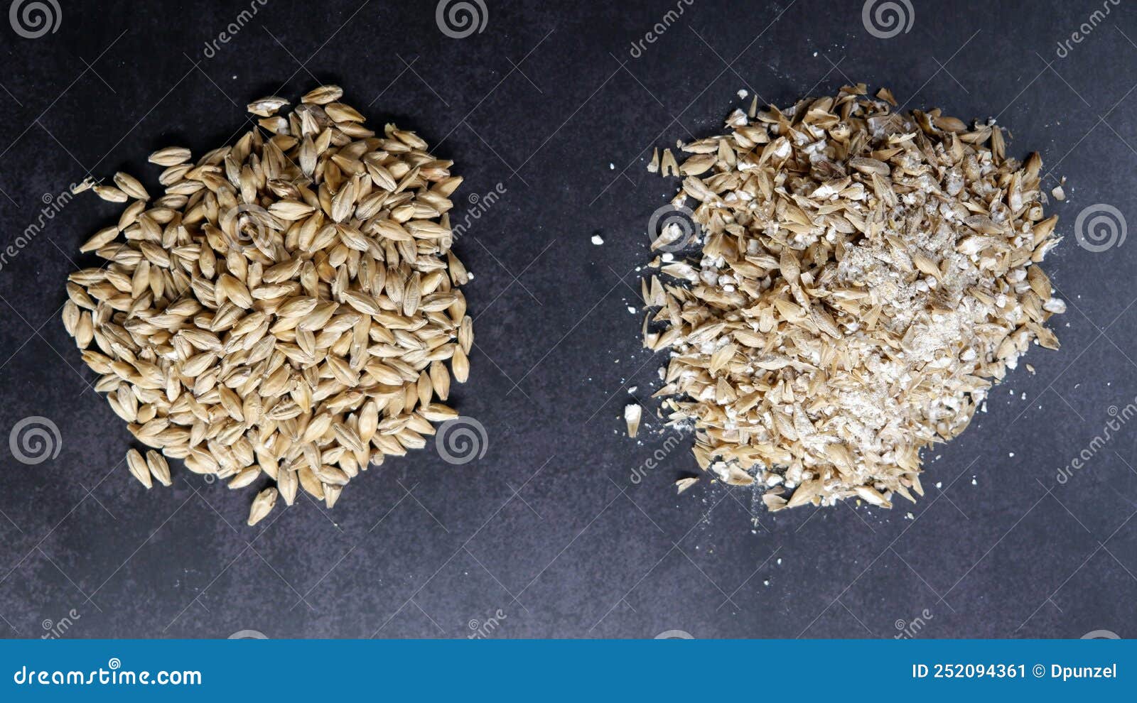 Malt, Crushed and Uncrushed, Arranged in 2 Piles Stock Image - Image of ...