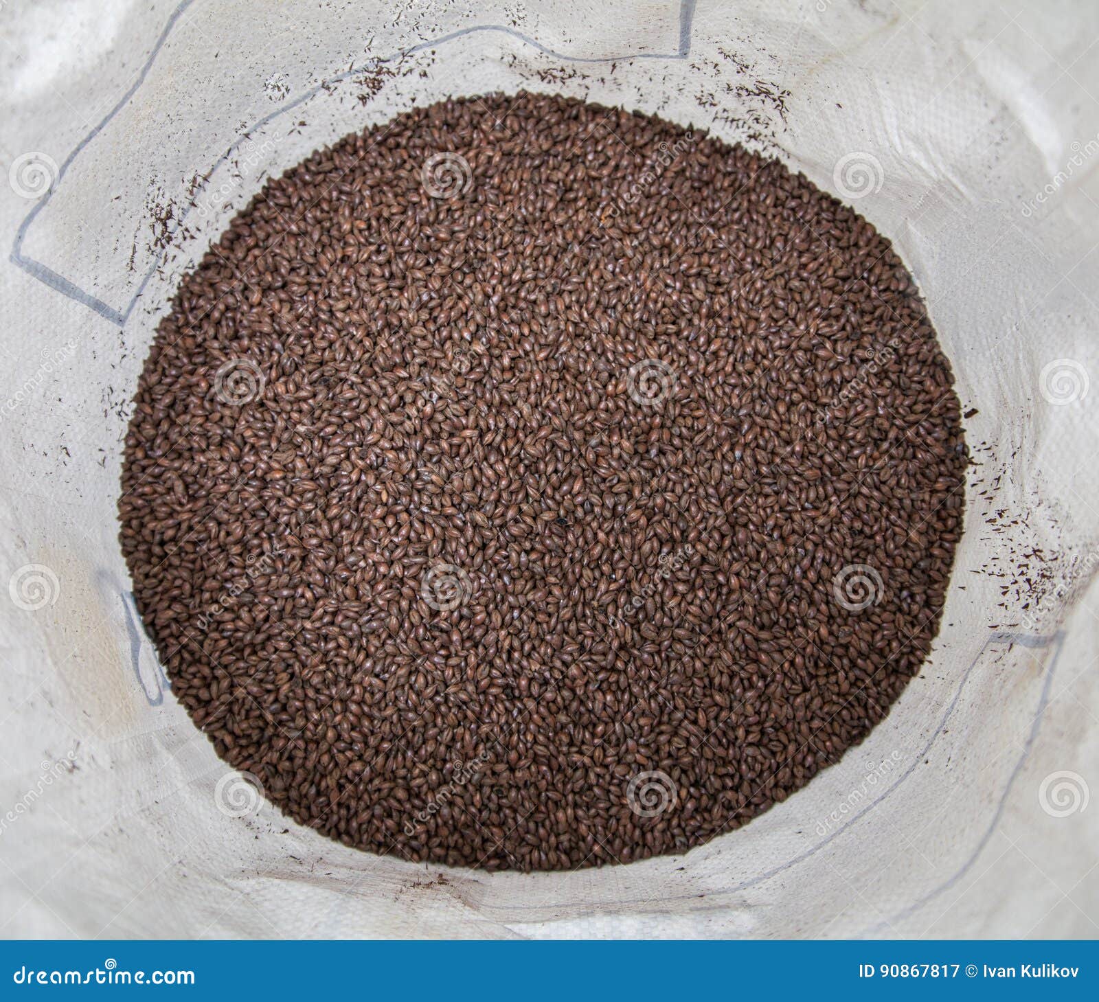 Malt Grains. Beer Production Stock Image - Image of production, grains ...