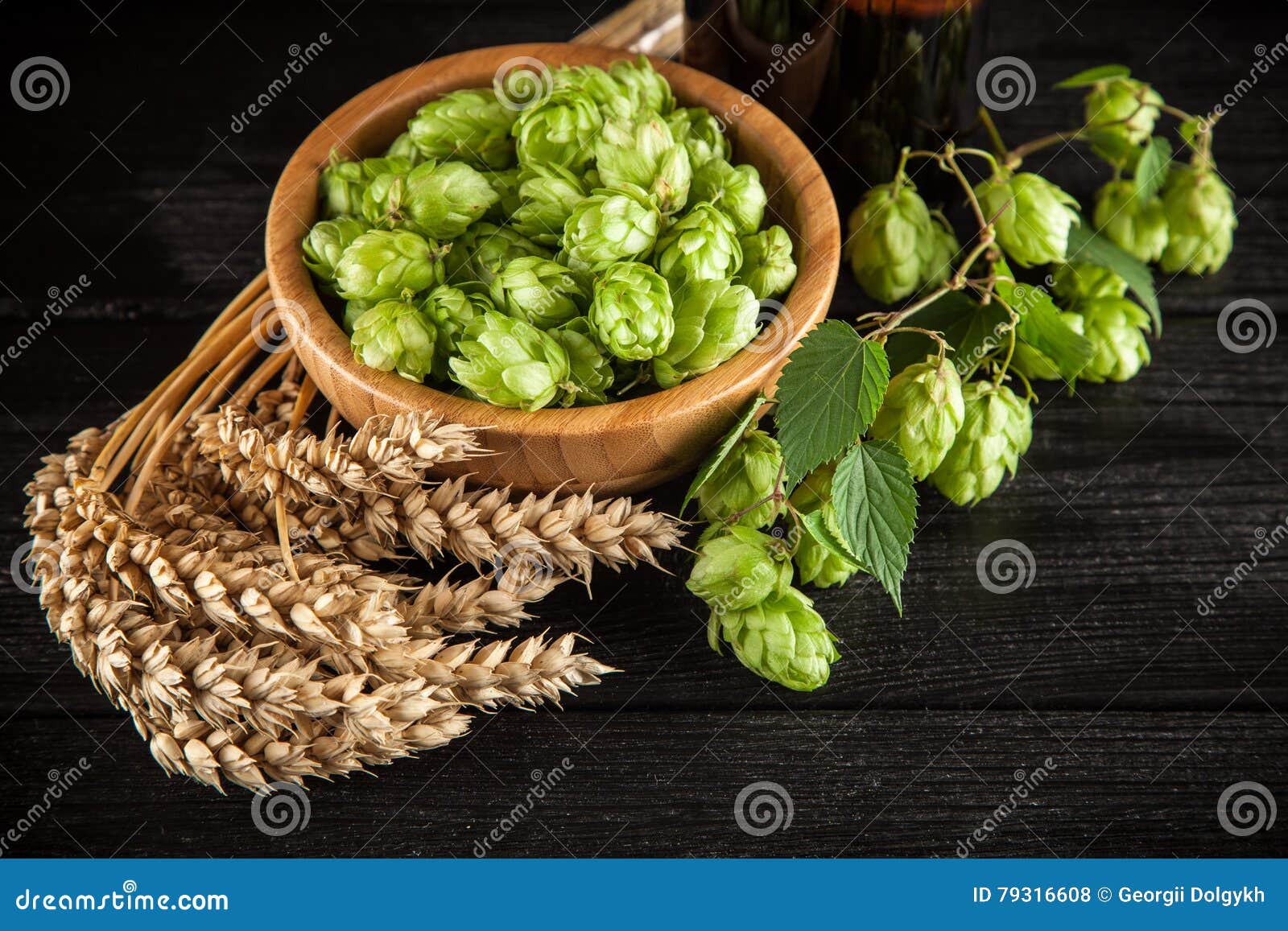 Malt and hops stock photo. Image of beverage, white, drink - 79316608