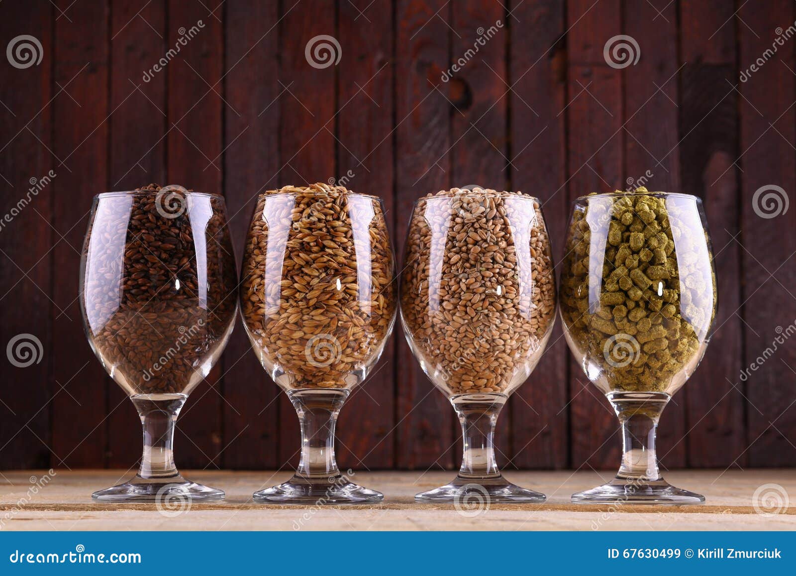 Malt and hops in glasses stock image. Image of recipe - 67630499