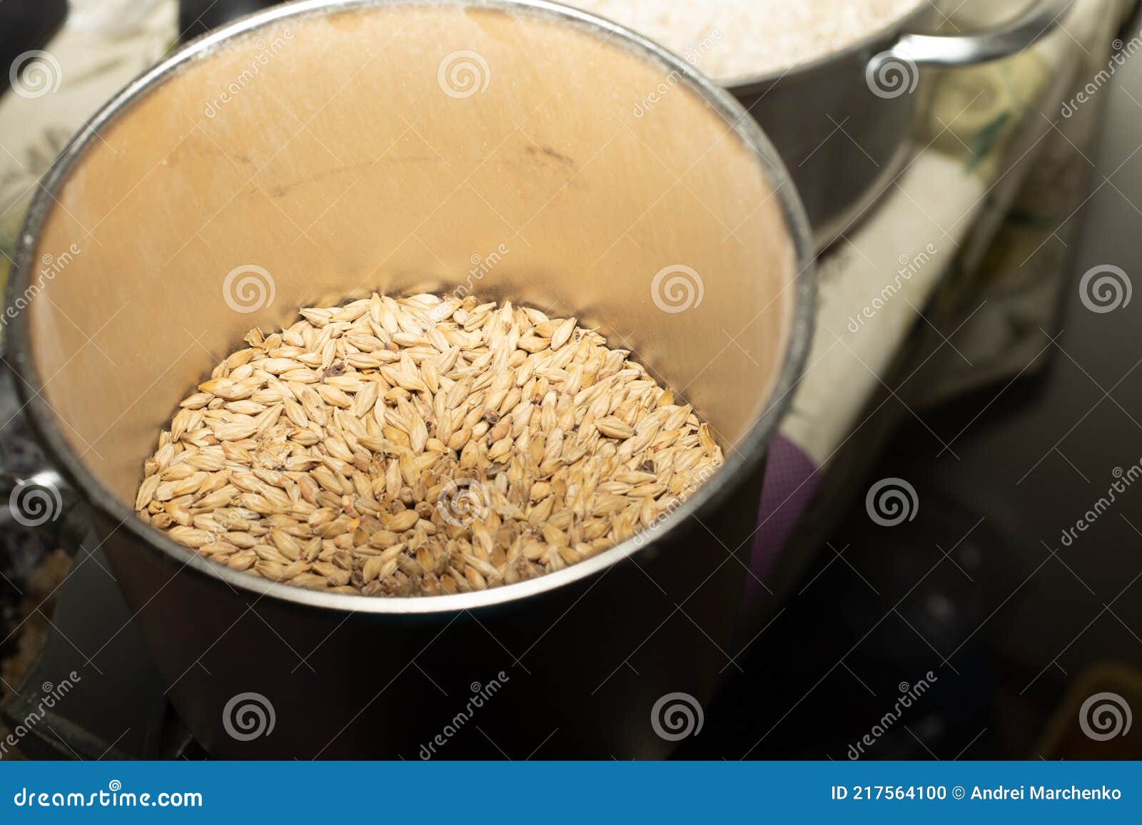 Malt is Poured into the Mill for Grinding, Preparation for Brewing Beer ...