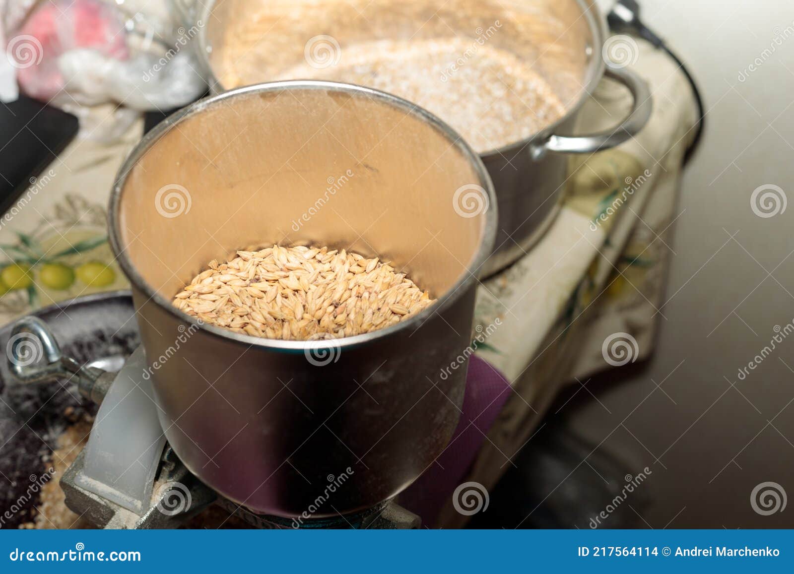 Malt is Poured into the Mill for Grinding, Preparation for Brewing Beer ...