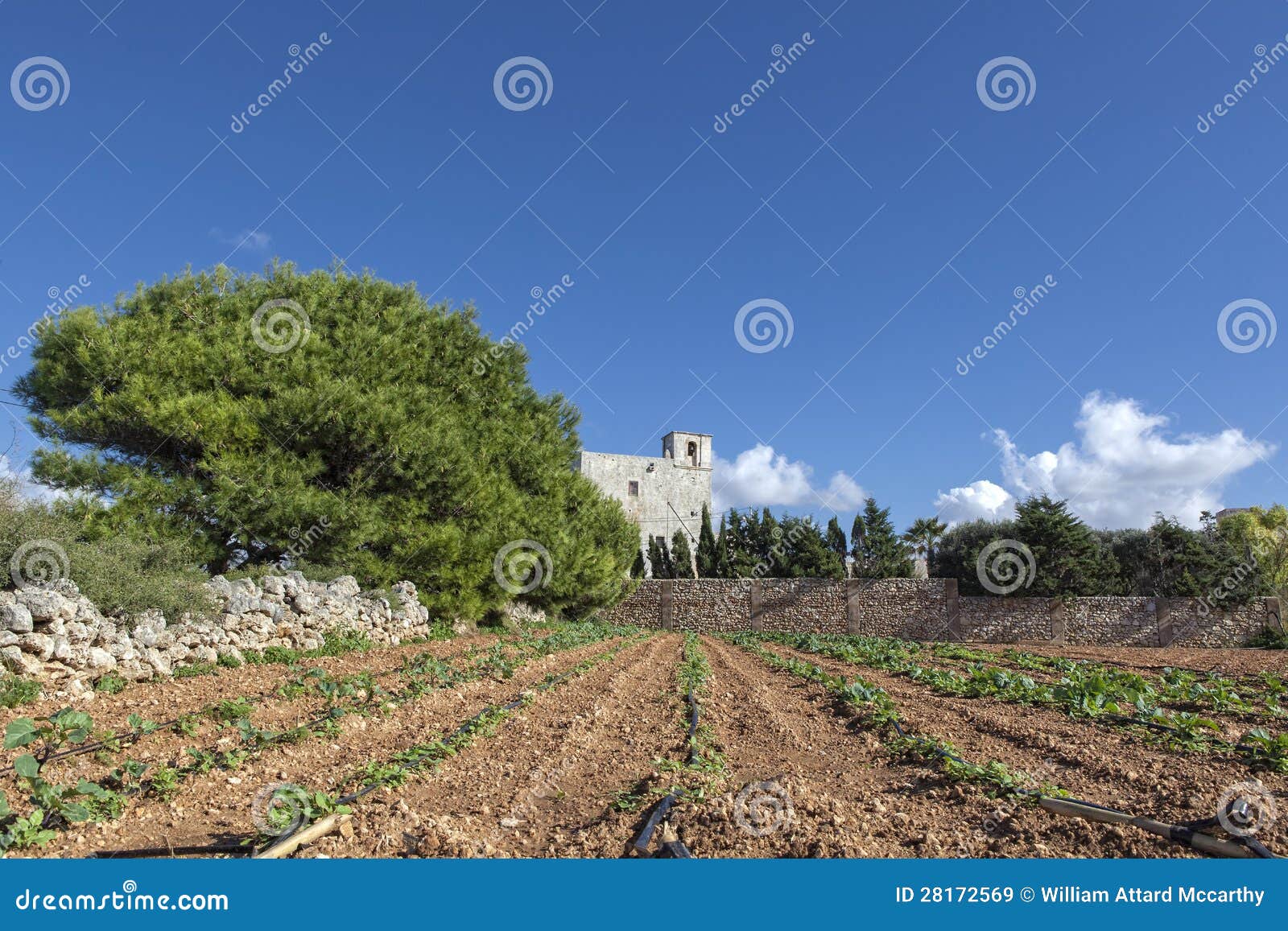 Malta Countryside stock image. Image of industrial, sowing - 28172569