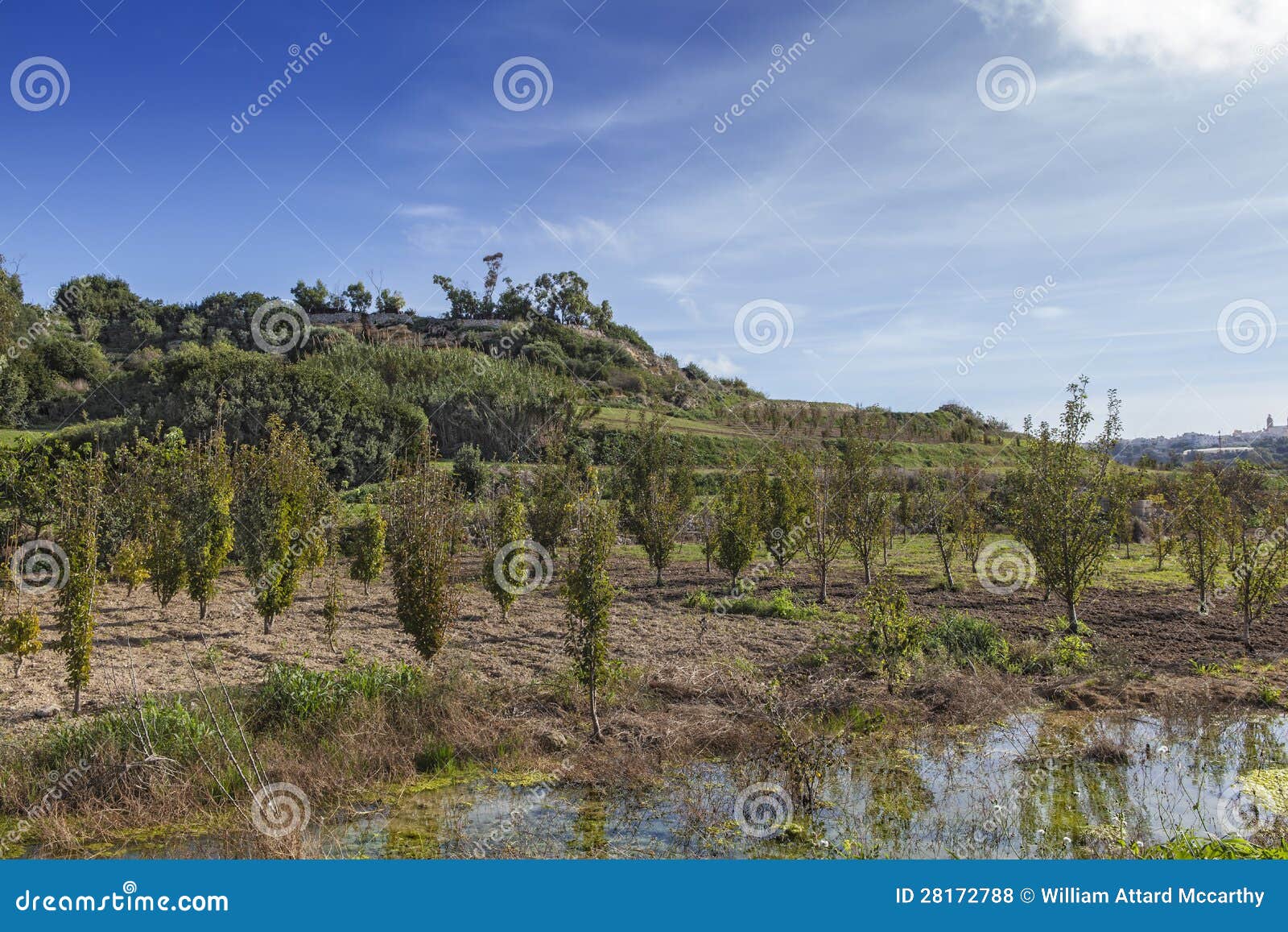 Malta Countryside stock photo. Image of industry, crop - 28172788