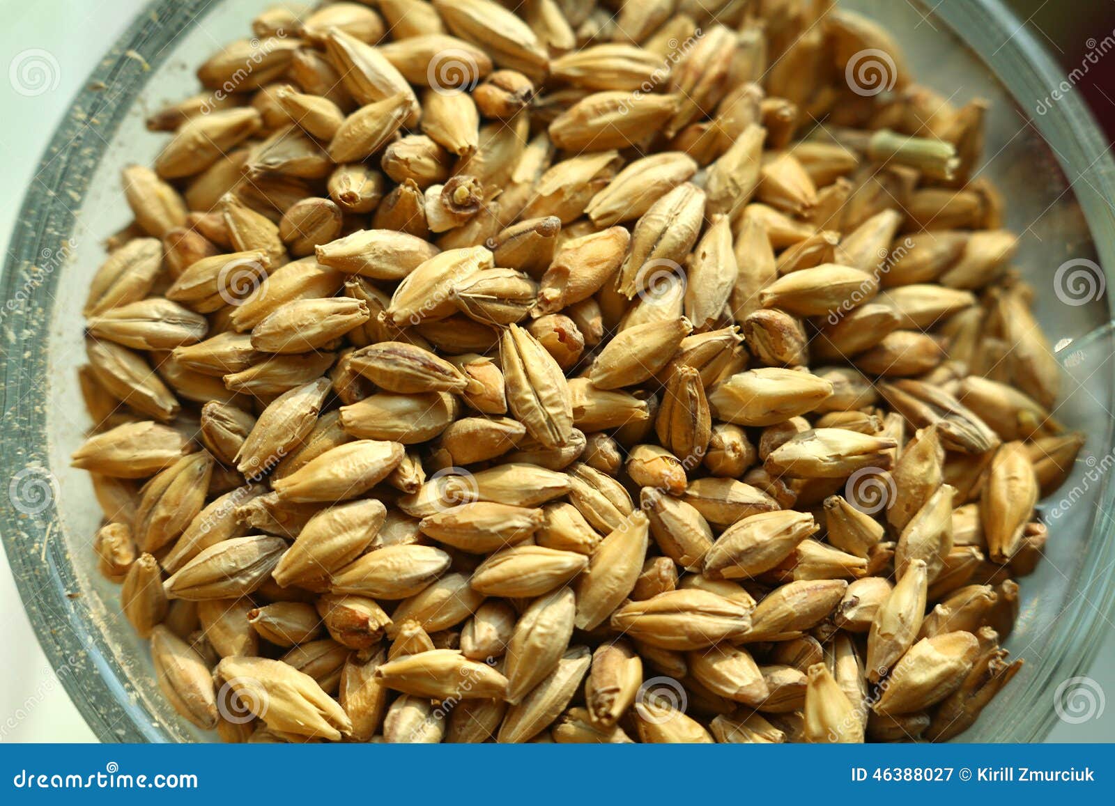 Malta de la cebada imagen de archivo. Imagen de ingrediente - 46388027