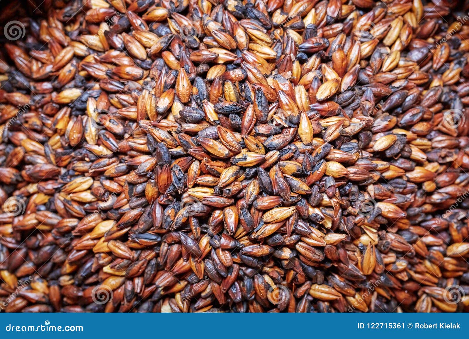 Malta De La Cebada - Bestmalz Del Tipo Imagen de archivo - Imagen de ...