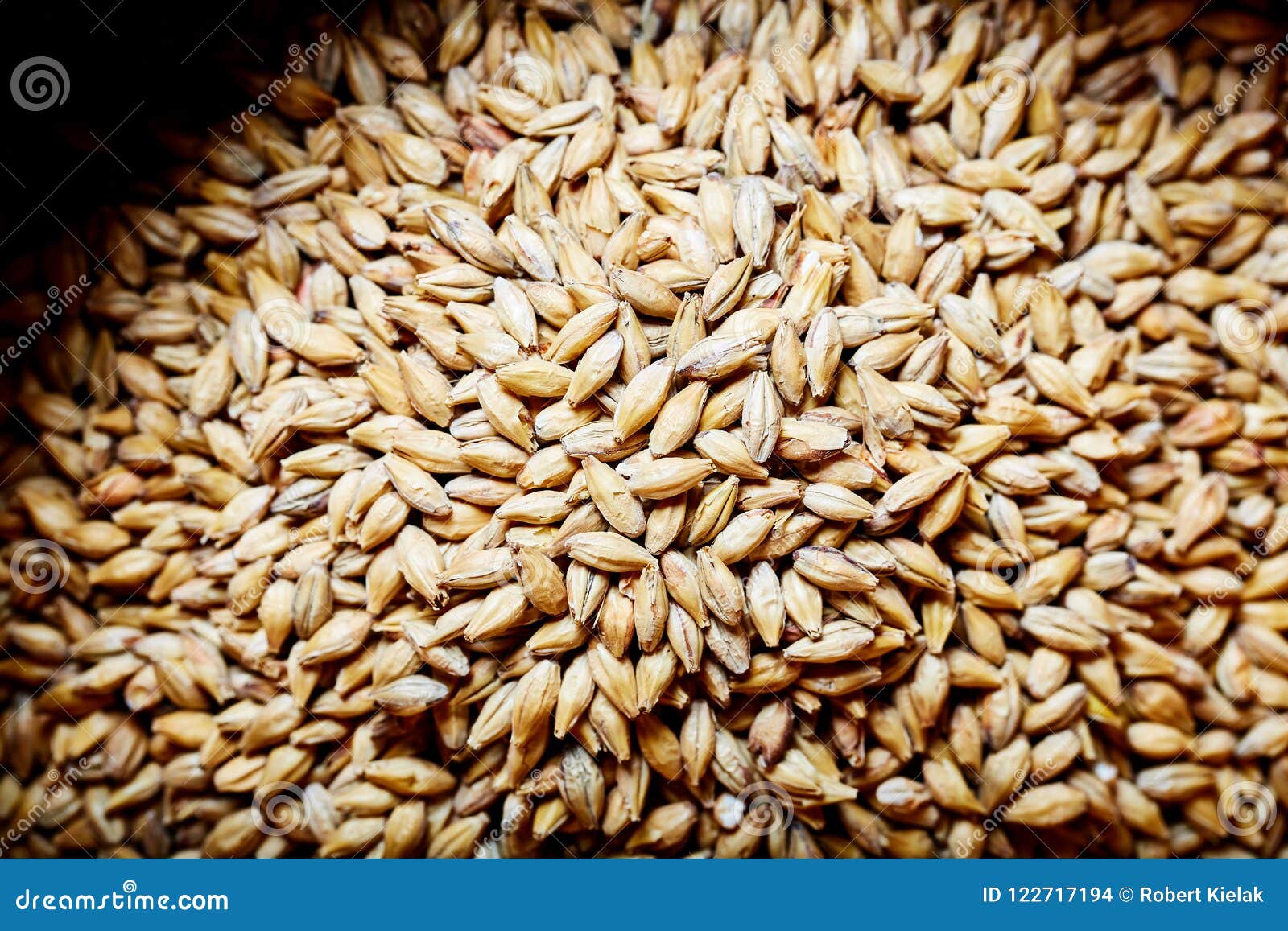 Malta De La Cebada De Pale Ale Foto de archivo - Imagen de malta, fondo ...