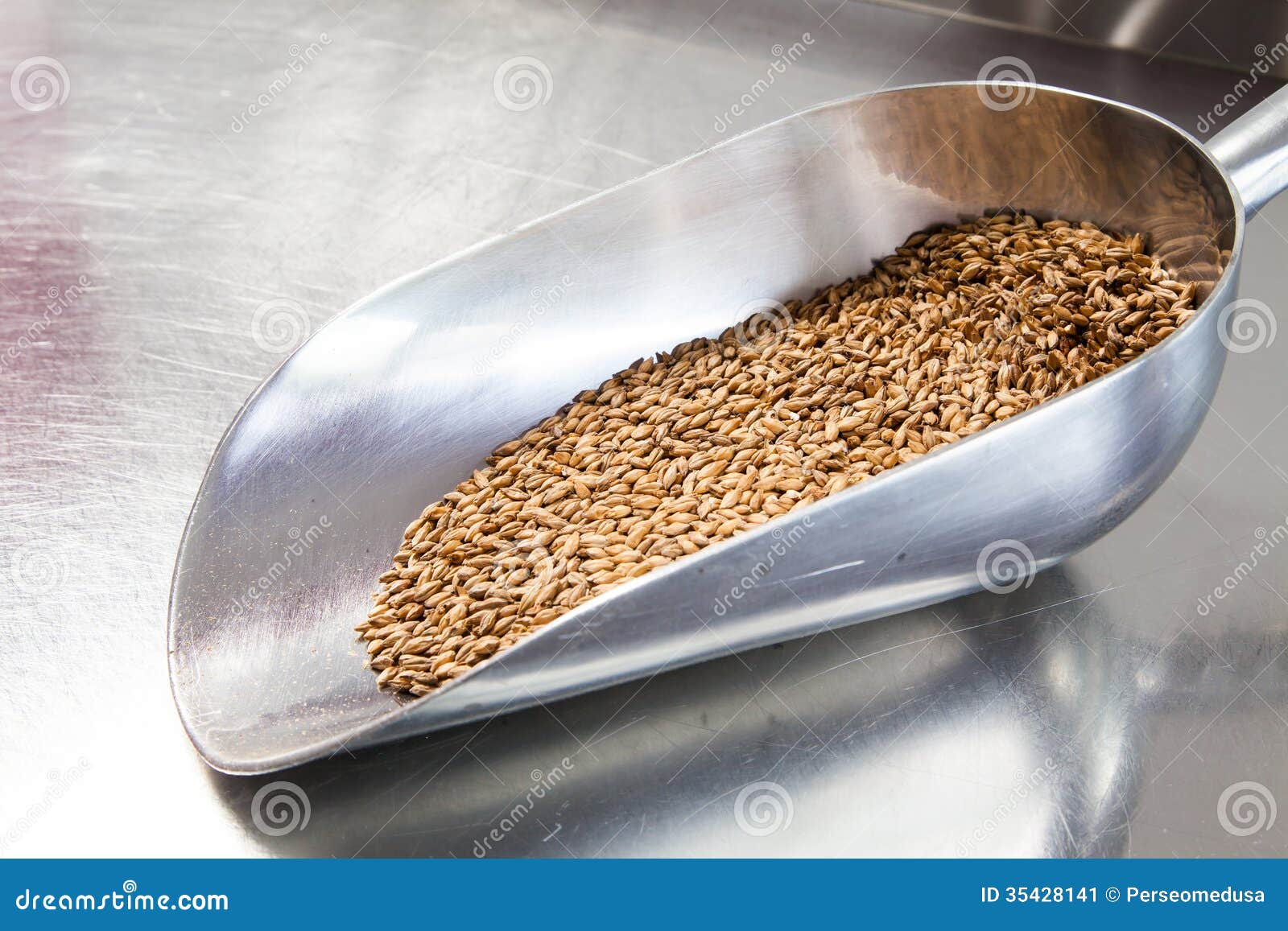 Malta de la cerveza imagen de archivo. Imagen de cebada - 35428141