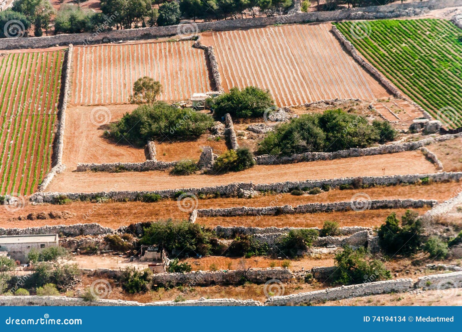Malta - fields and meadows stock photo. Image of landscape - 74194134