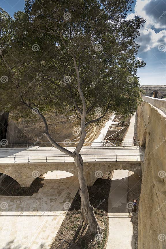 Tree Inside the Moat of Valletta Fortress Stock Image - Image of ...