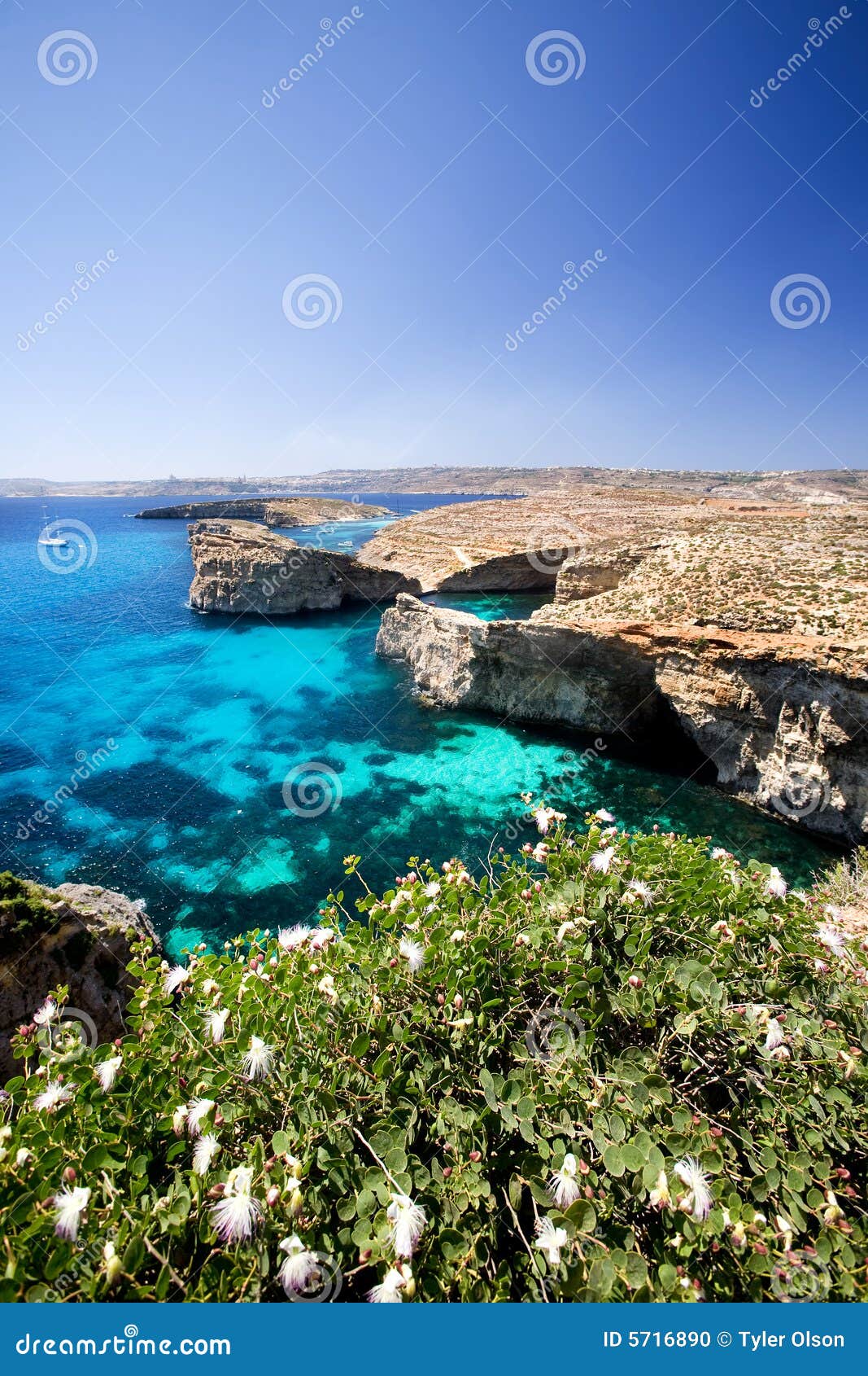 Malta Landscape stock photo. Image of scenic, coast, gozo - 5716890