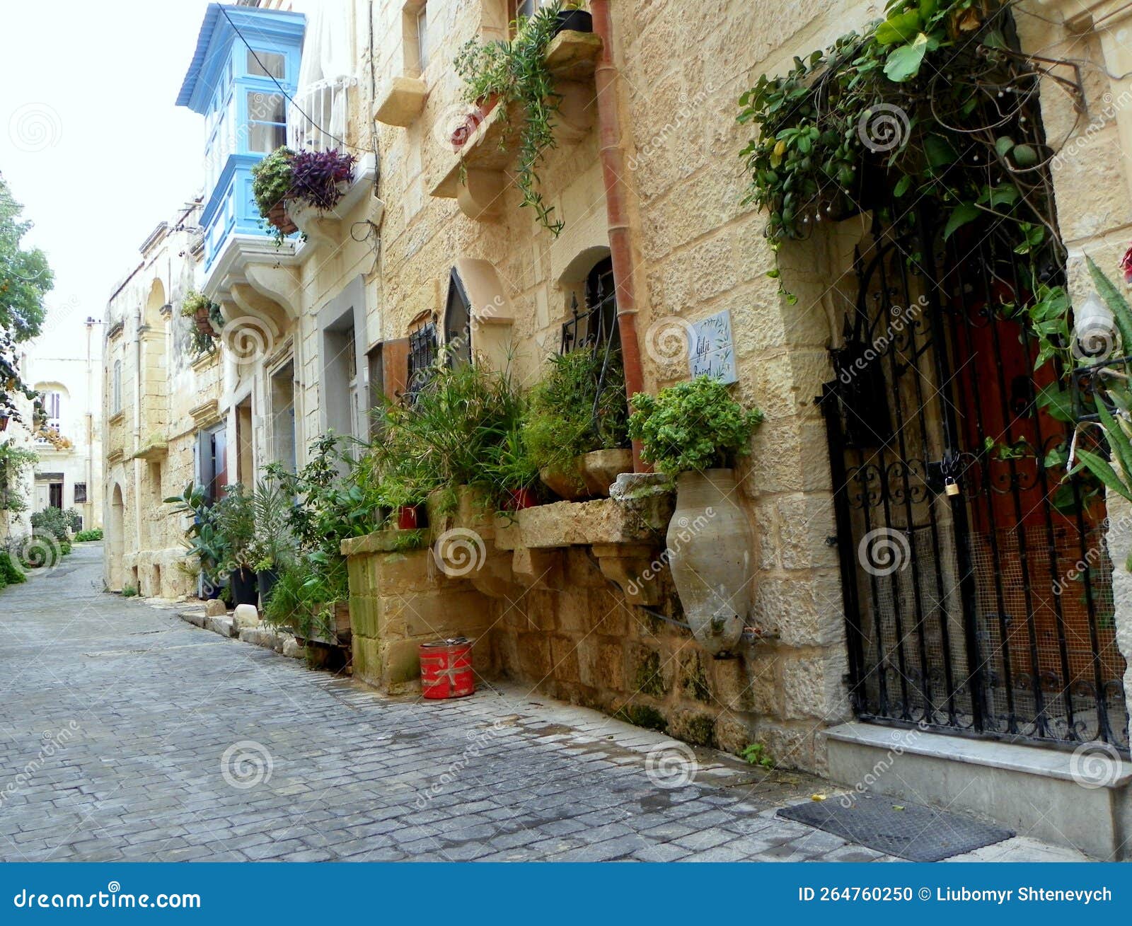 Malta, Rabat, Flowers and Plants in Pots Stock Photo - Image of estate ...