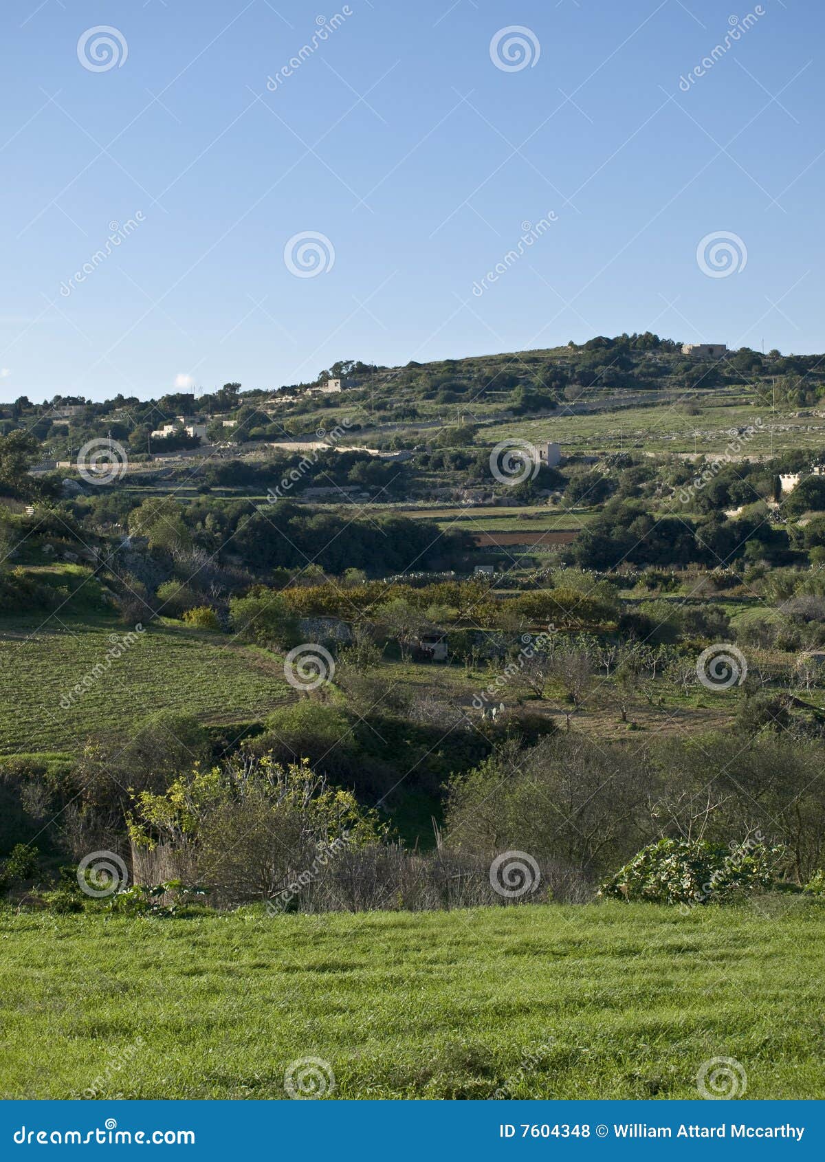 Malta Valley stock photo. Image of hiking, landscape, prairie - 7604348