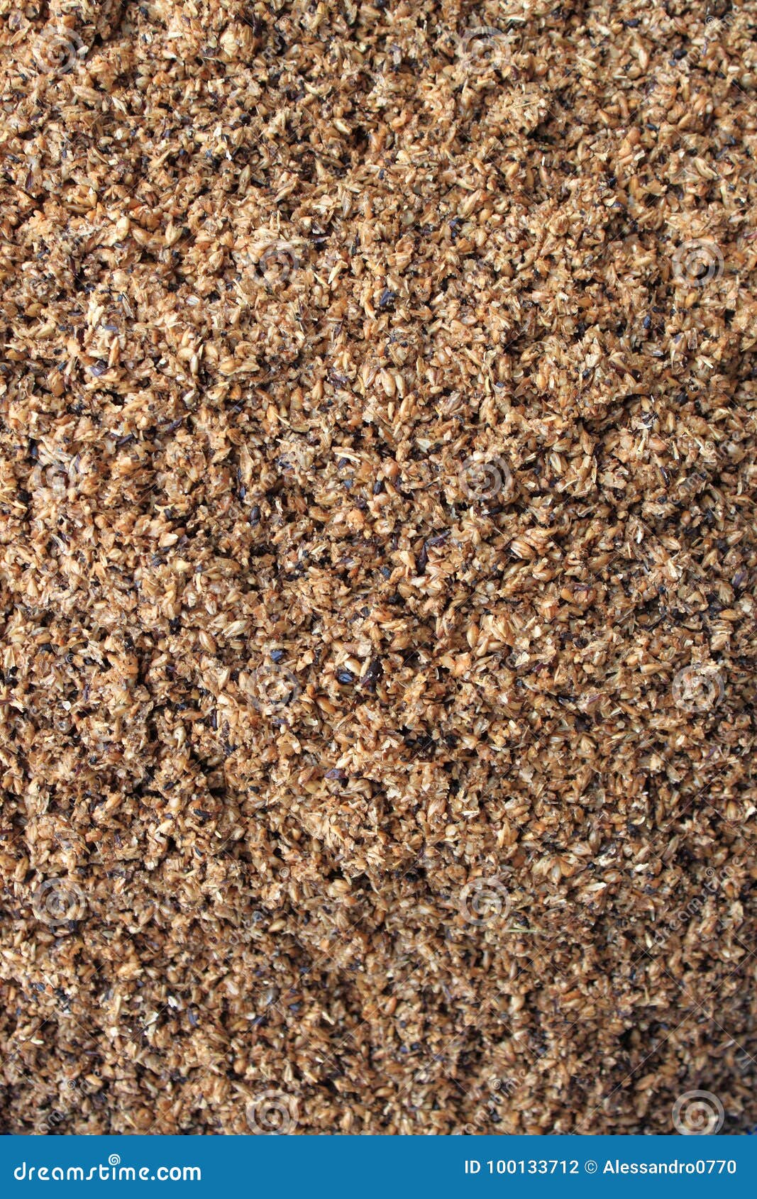 Malted barley grains stock photo. Image of beer, grind - 100133712