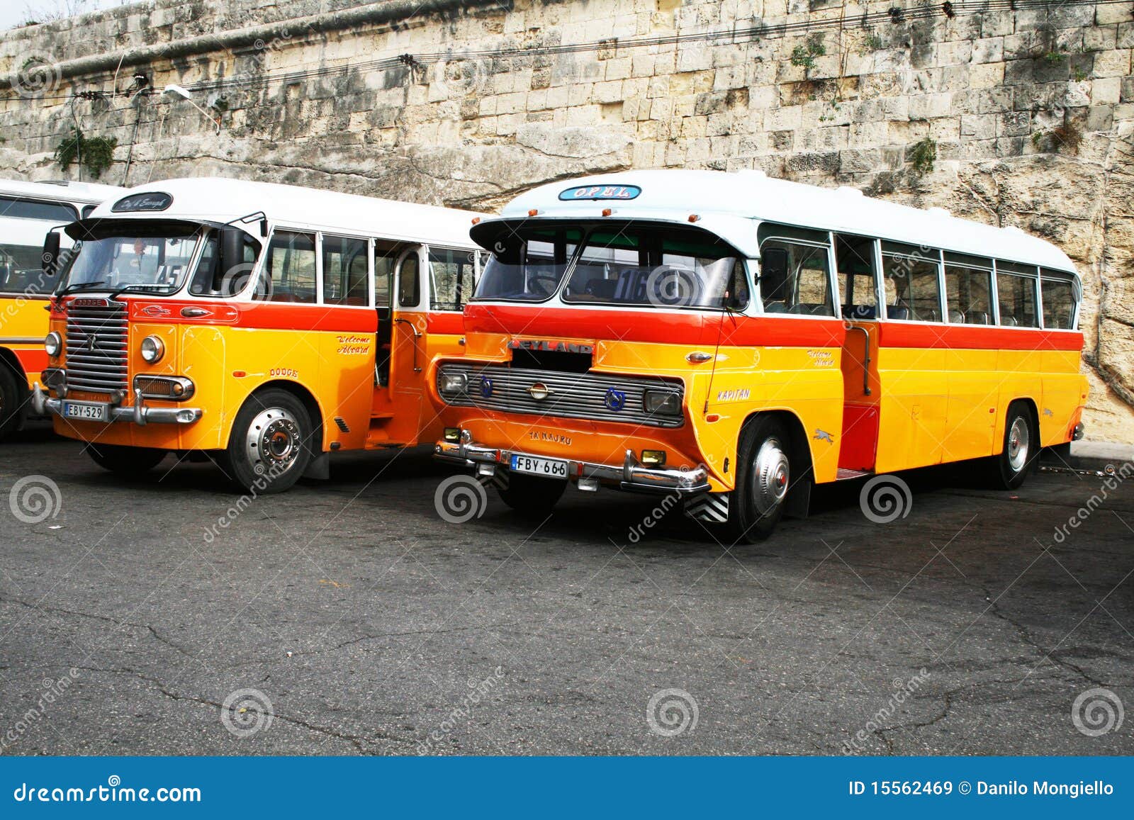 Maltese bussen redactionele stock afbeelding. Image of vervoer - 15562469