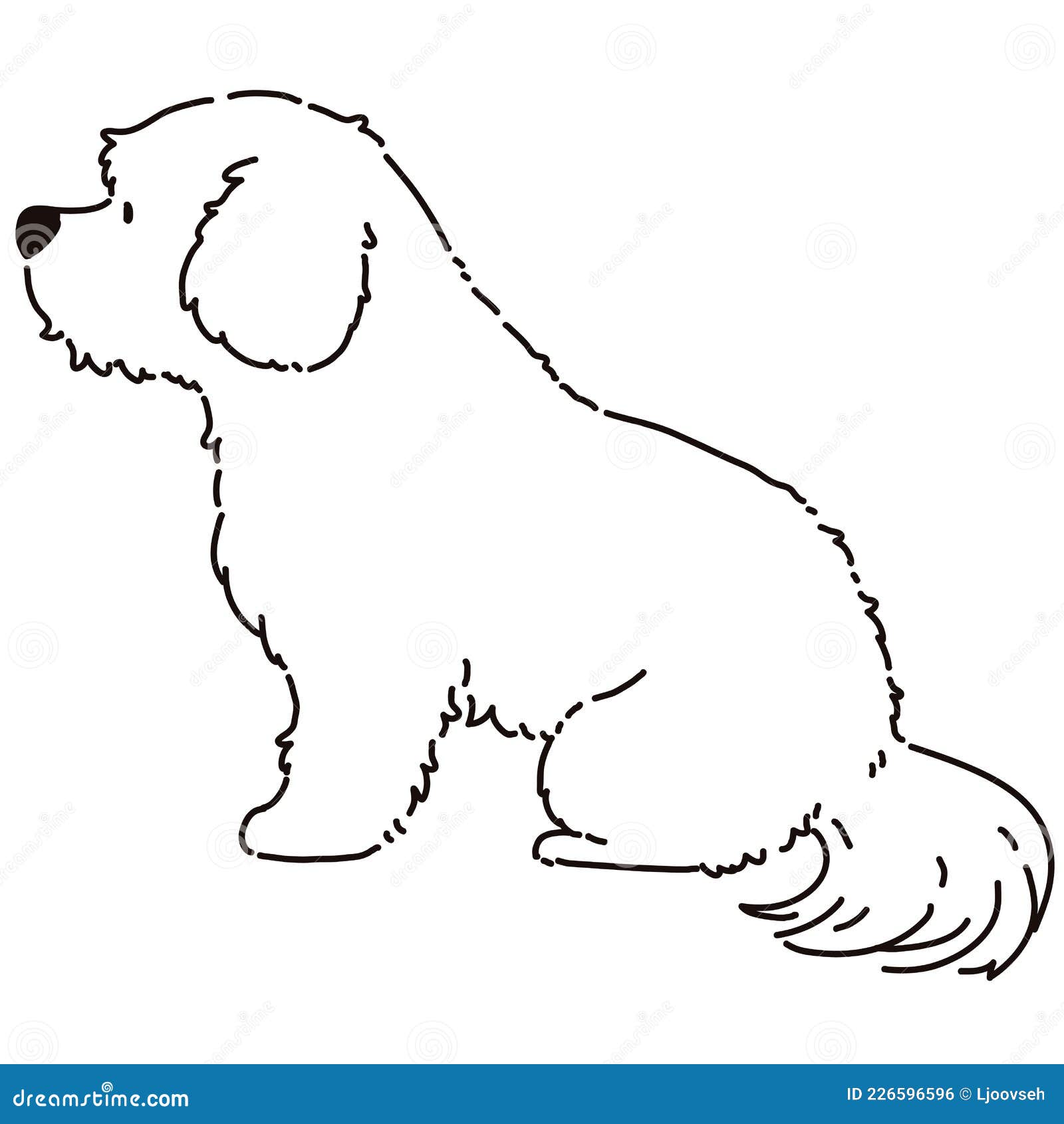 Maltese Dog Outlines with No Color Stock Vector - Illustration of ...