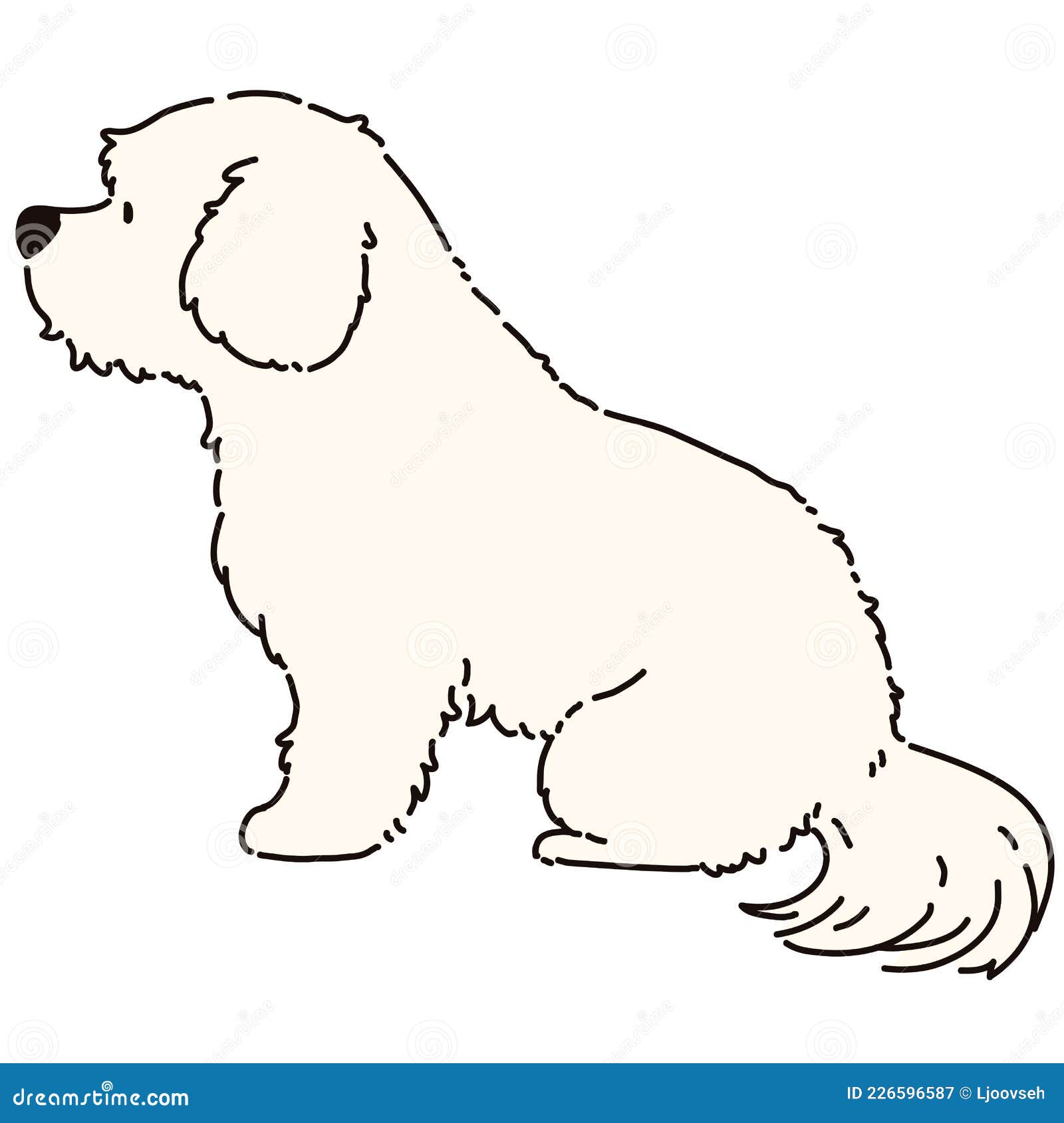 Maltese Dog Sitting Light Cream Color Stock Vector - Illustration of ...