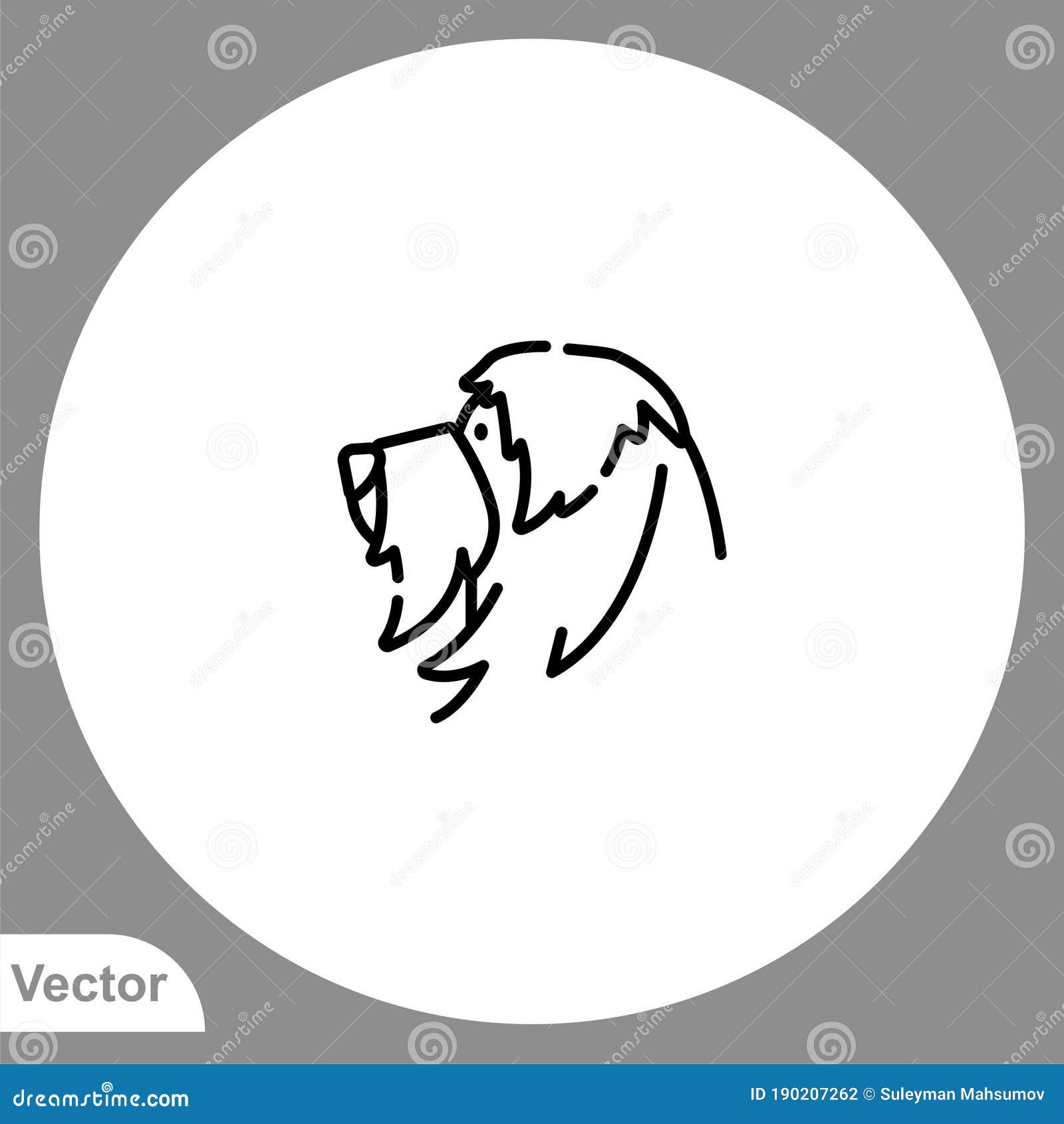 Maltese - Vector Set Isolated Illustration On White Background ...