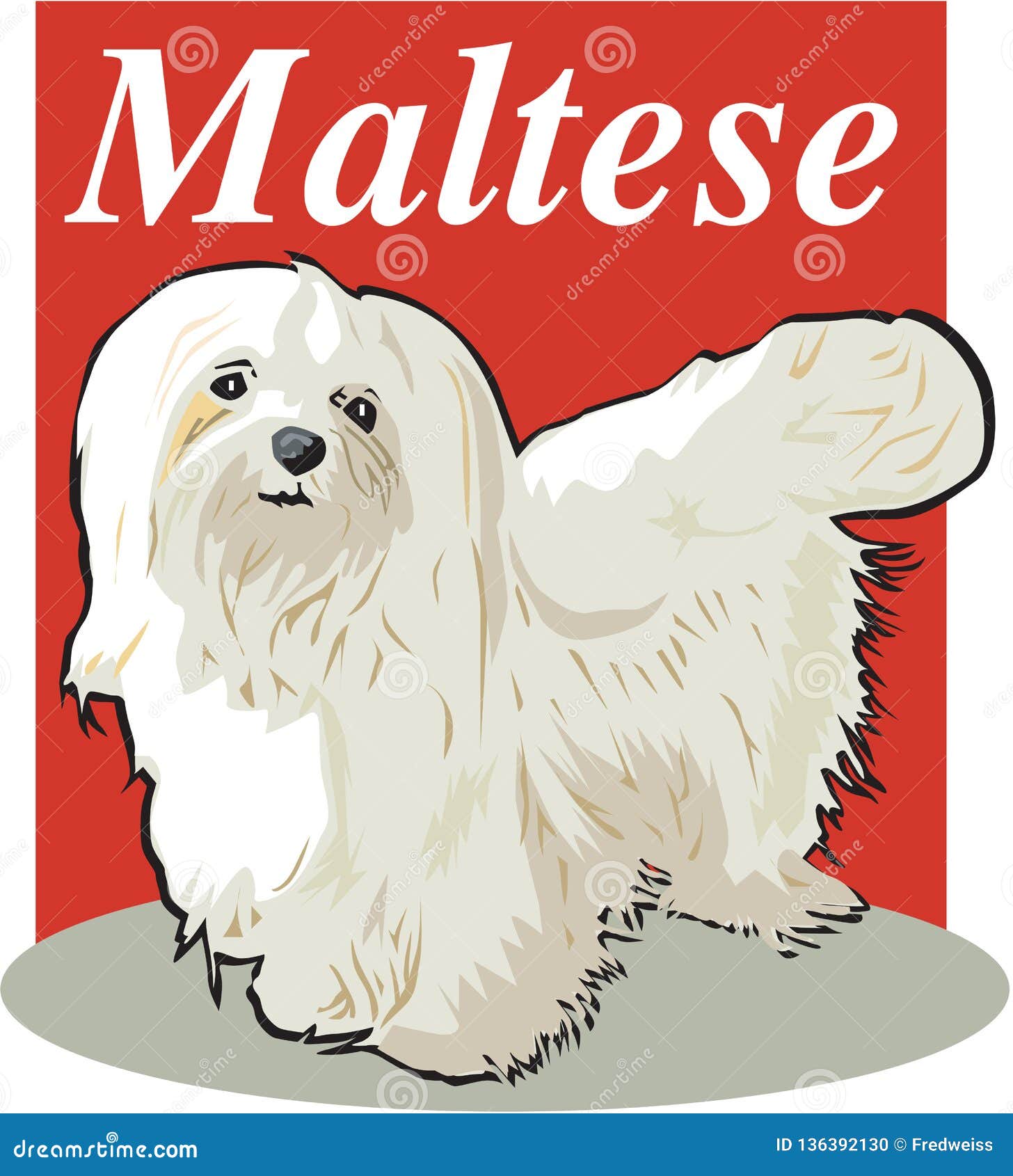 Maltese Vector Illustration Stock Vector - Illustration of vector, dogs ...