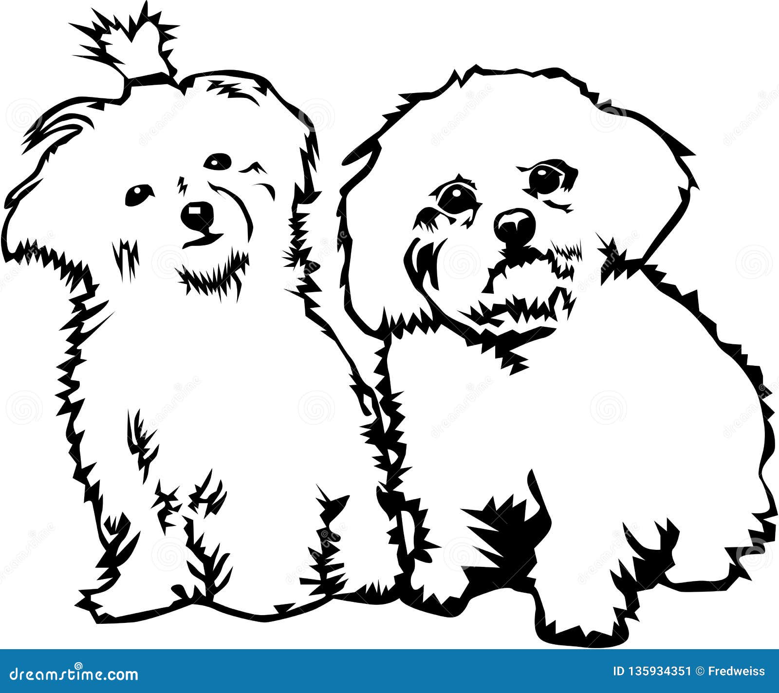 Maltese Vector Illustration Stock Vector - Illustration of animal ...