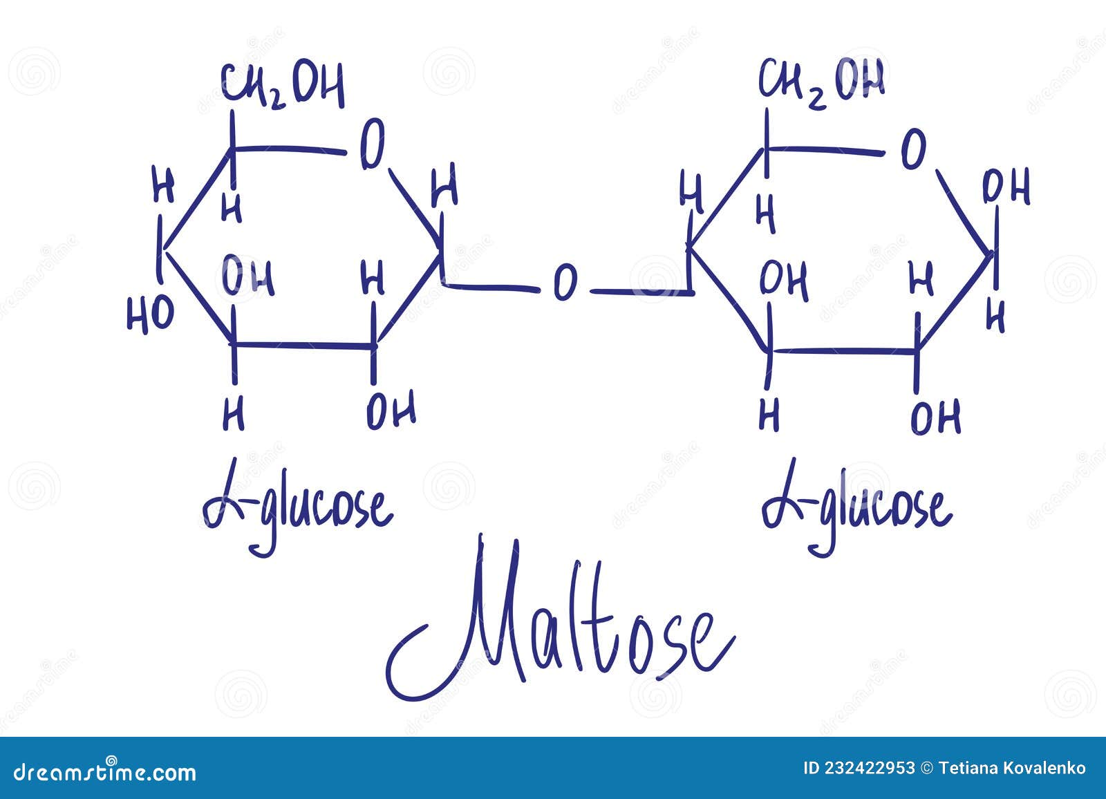 Maltose Chemical Structure. Vector Illustration Hand Drawn Stock Vector ...
