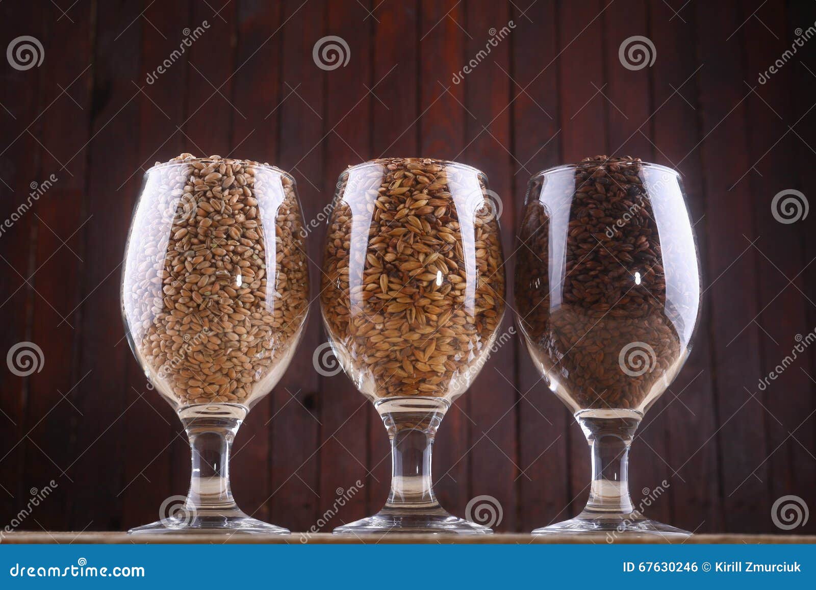 Malts in glasses stock photo. Image of distillery, barley - 67630246