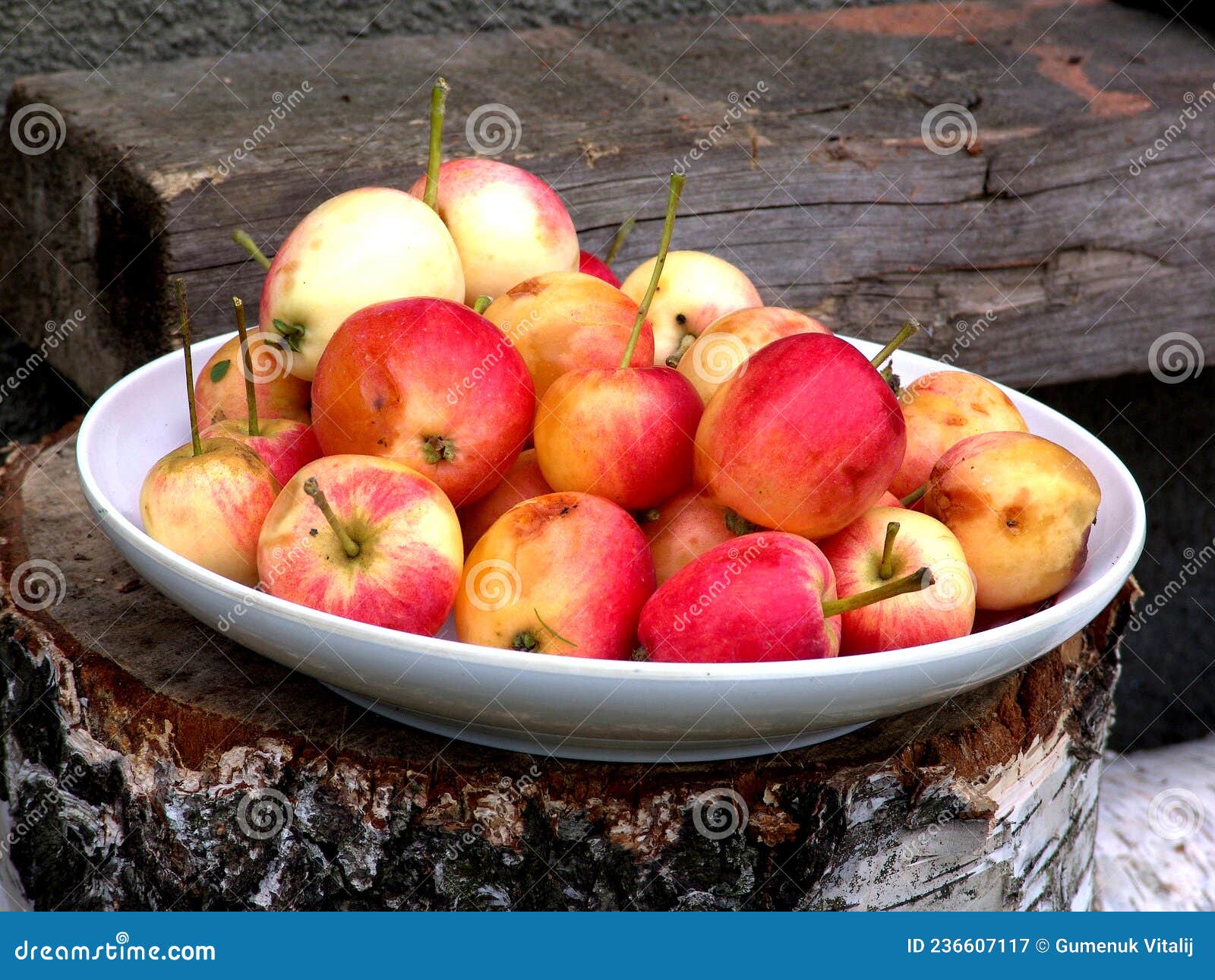 Malus prunifolia stock image. Image of chinese, making - 236607117