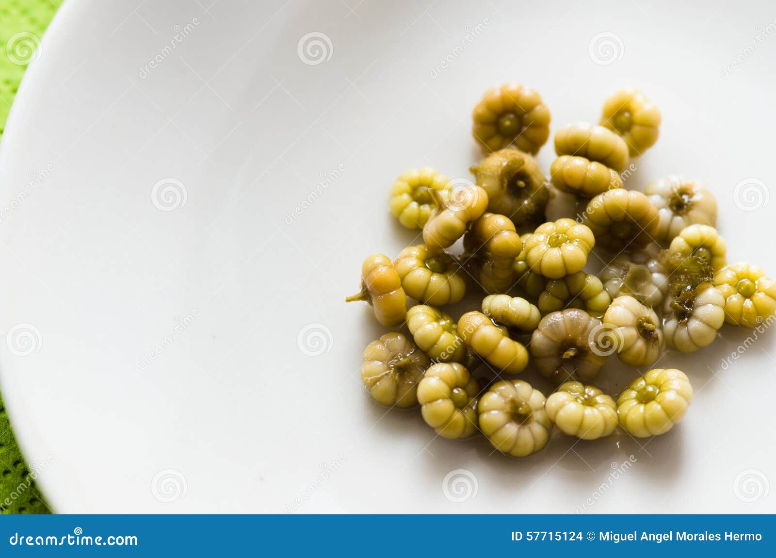 Malva fruit stock photo. Image of wild, marinated, flora - 57715124