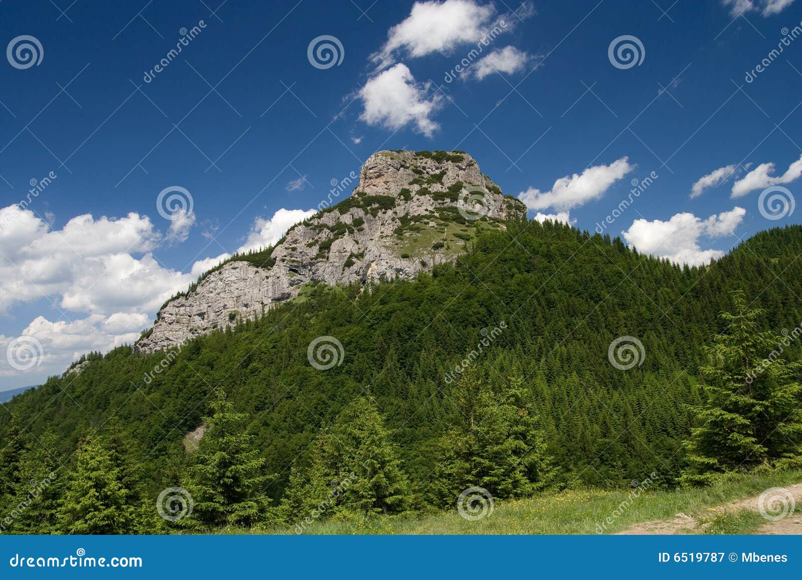 Maly Rozsutec stock image. Image of wood, mountain, mala - 6519787