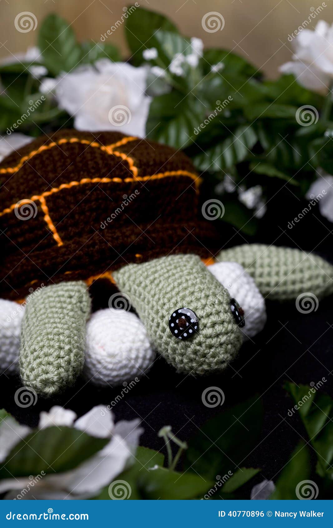 Mama Turtle with eggs stock photo. Image of nature, turtle - 40770896