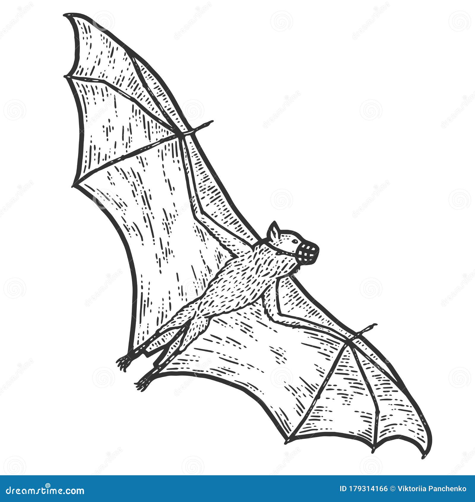 Microbat Cartoons, Illustrations & Vector Stock Images - 82 Pictures to ...