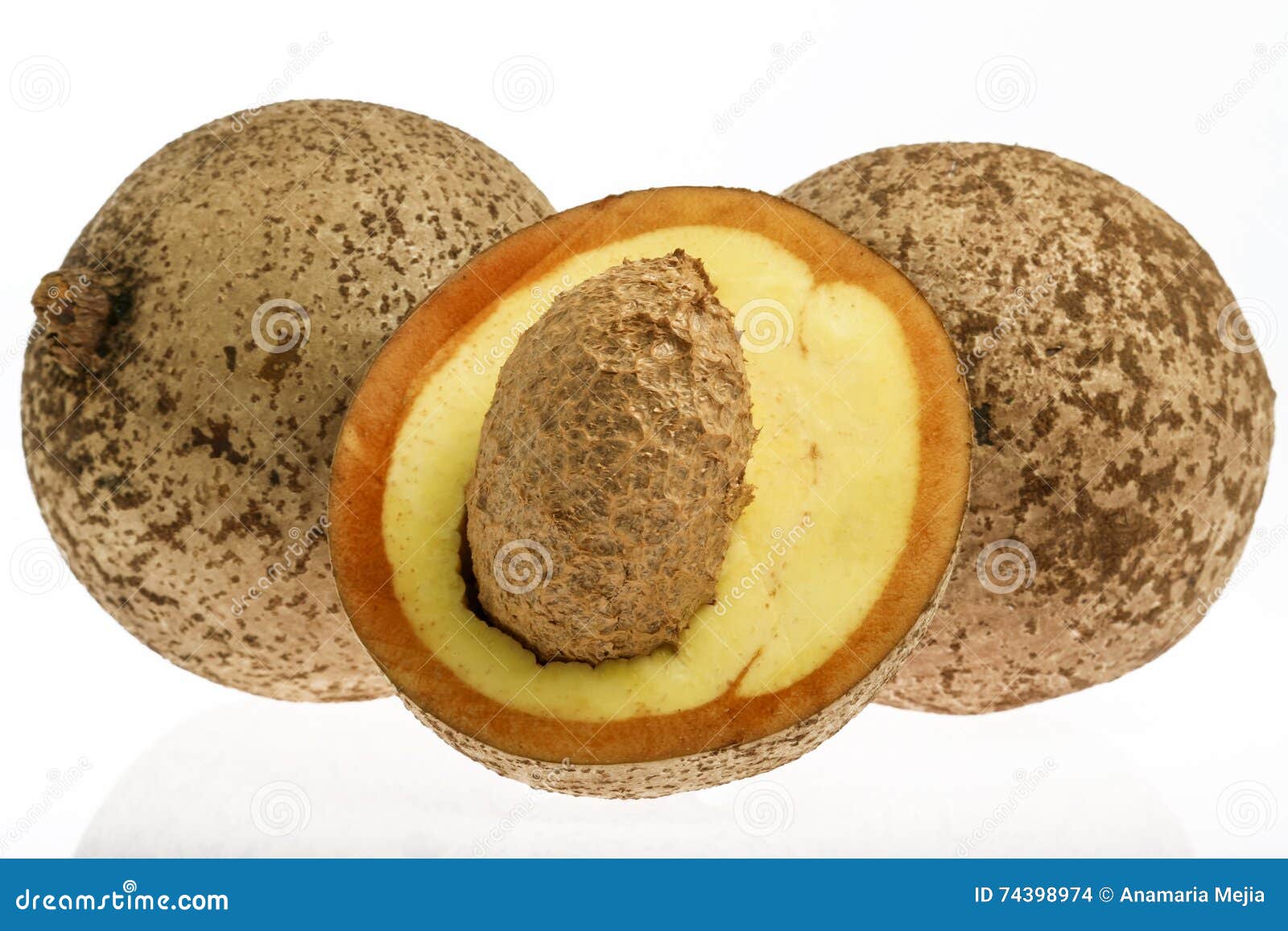 Mammee Apple (Mammea Americana) Stock Photo - Image of mammea, fruit ...