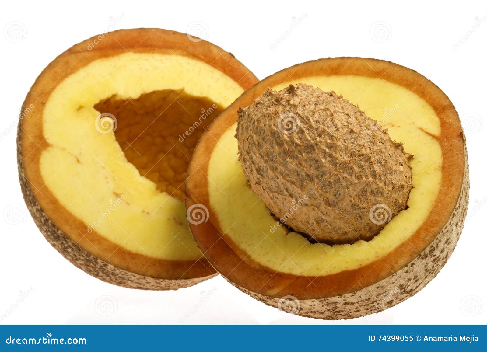 Mammee Apple (Mammea Americana) Stock Image - Image of south, tropical ...