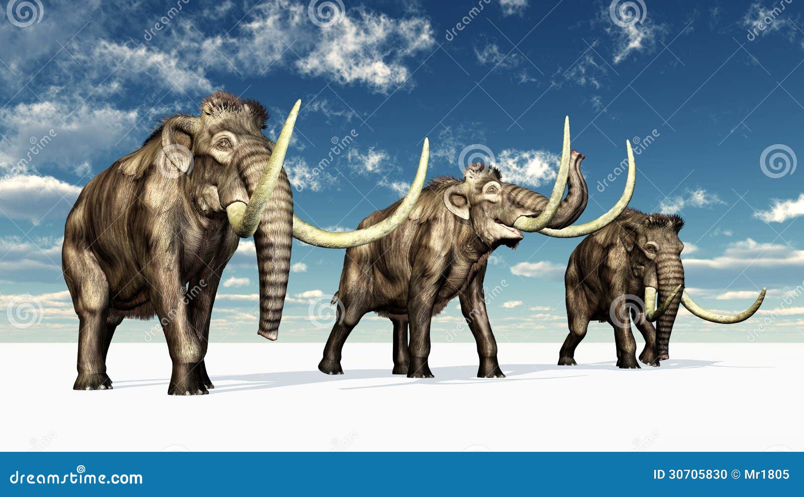 Mammoet stock illustratie. Illustration of zoogdier, nave - 30705830