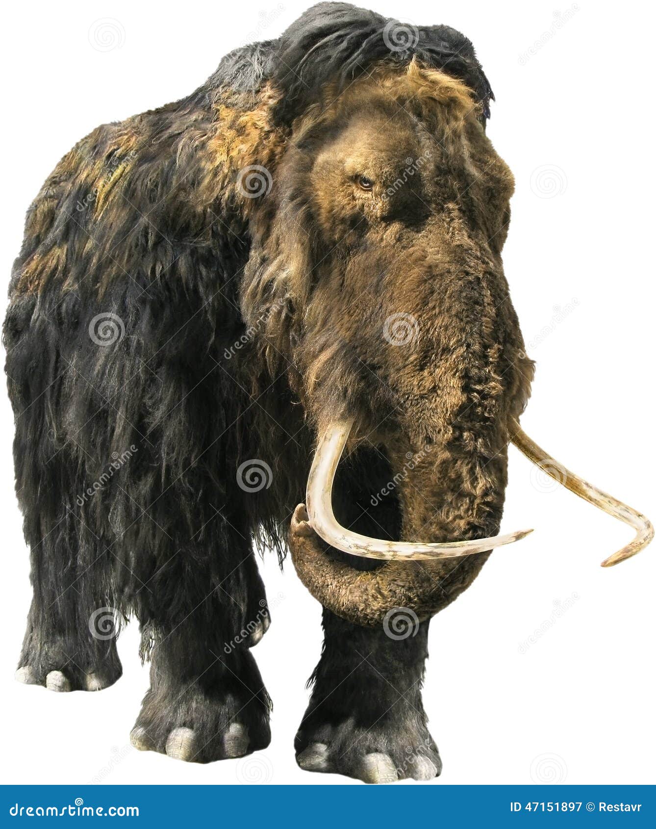 Mammoet stock afbeelding. Image of macht, olifant, stil - 47151897