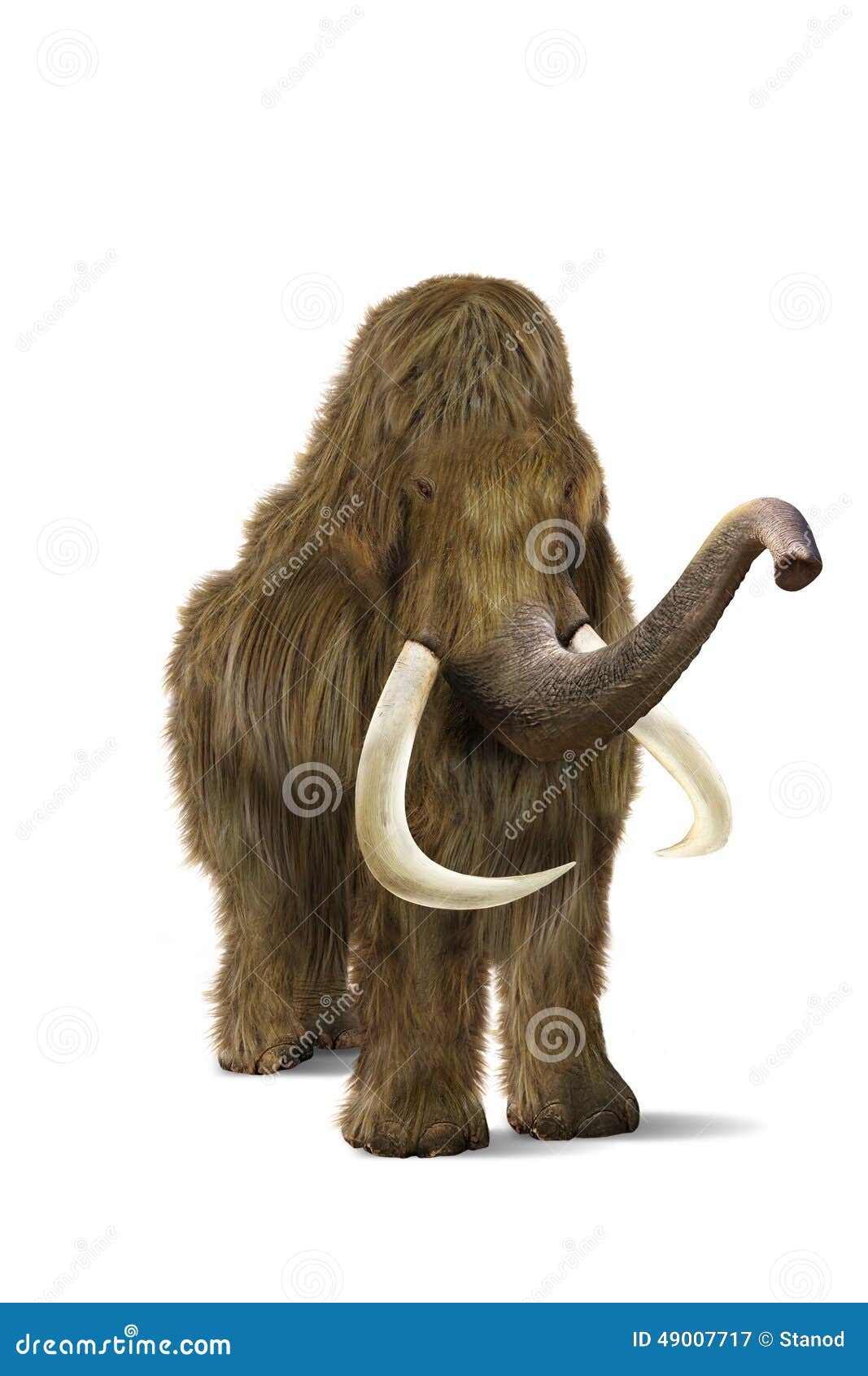 Mammoet stock afbeelding. Image of essentie, dier, mammoet - 49007717