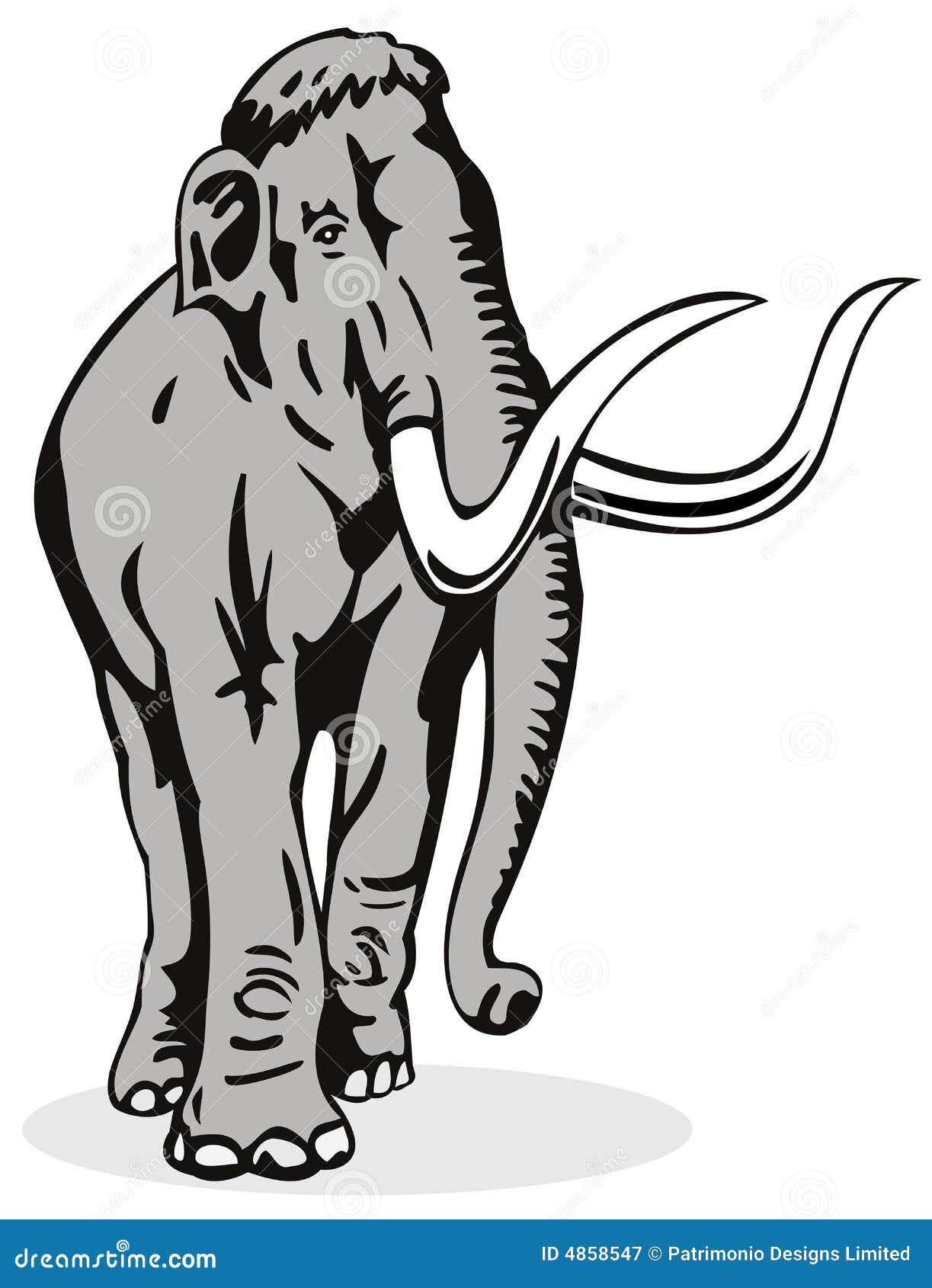 Tusk Cartoons, Illustrations & Vector Stock Images - 18982 Pictures to ...