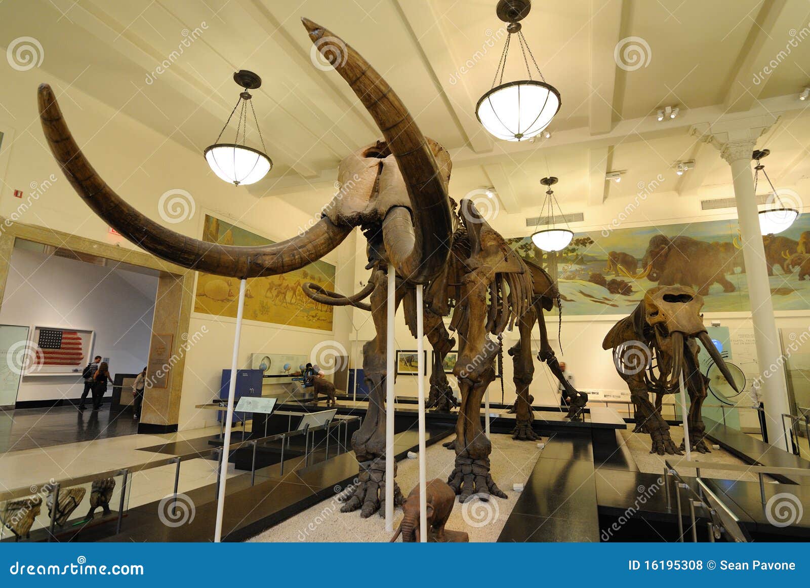 Mammoth Bones editorial stock photo. Image of fossil - 16195308