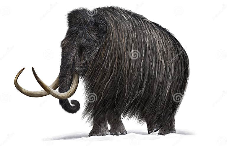 Mammoth stock illustration. Illustration of ivory, winter - 54200414