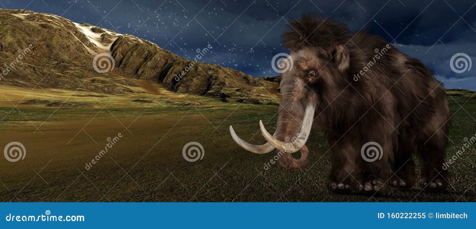 Mammoth, Realistic Drawing Stock Photography | CartoonDealer.com #180401630