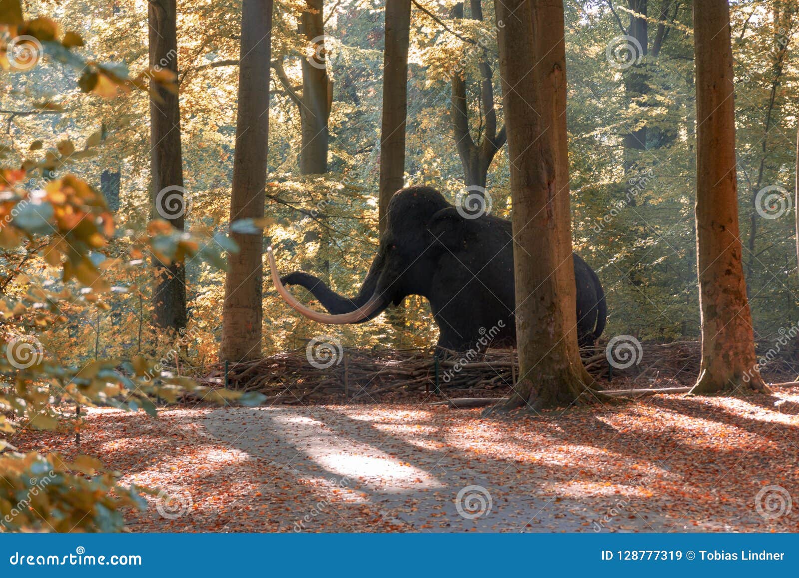 Mammoth in the Forest - Autumn Landscape Stock Image - Image of animal ...