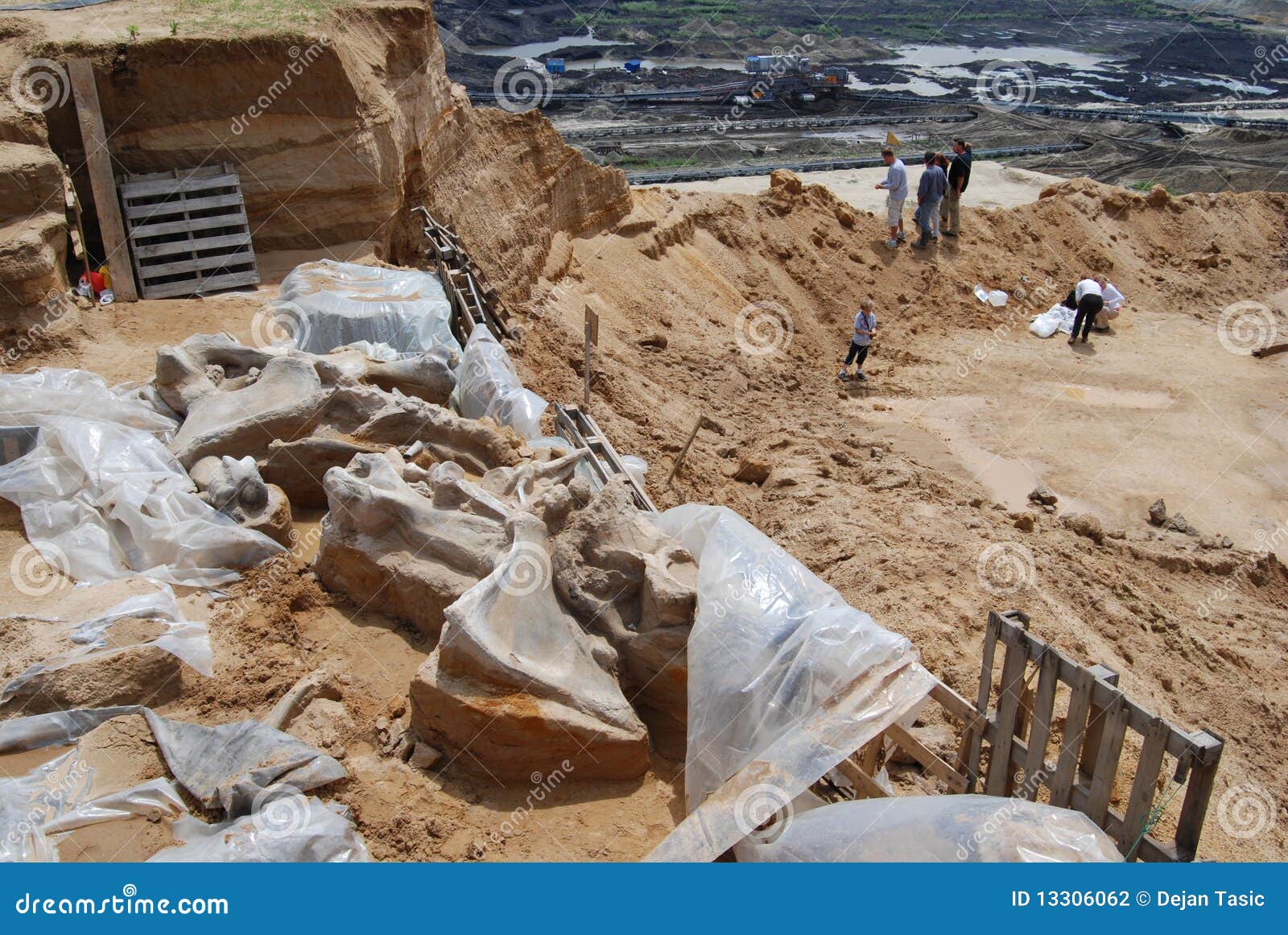 Mammoth fossil editorial photography. Image of bones - 13306062