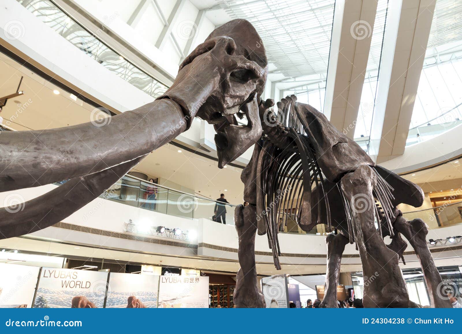 Mammoth fossil editorial stock photo. Image of animals - 24304238
