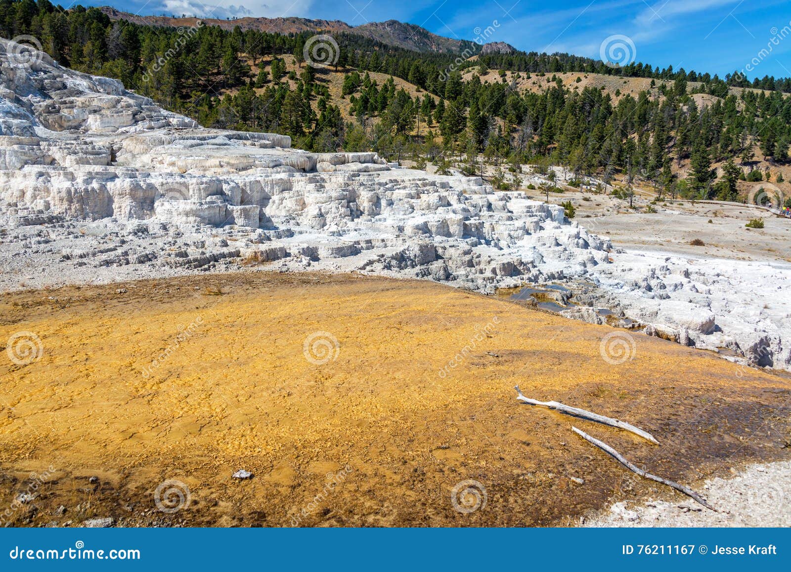 Mammoth Hot Springs Terraces Stock Image - Image of lower, carbonate ...