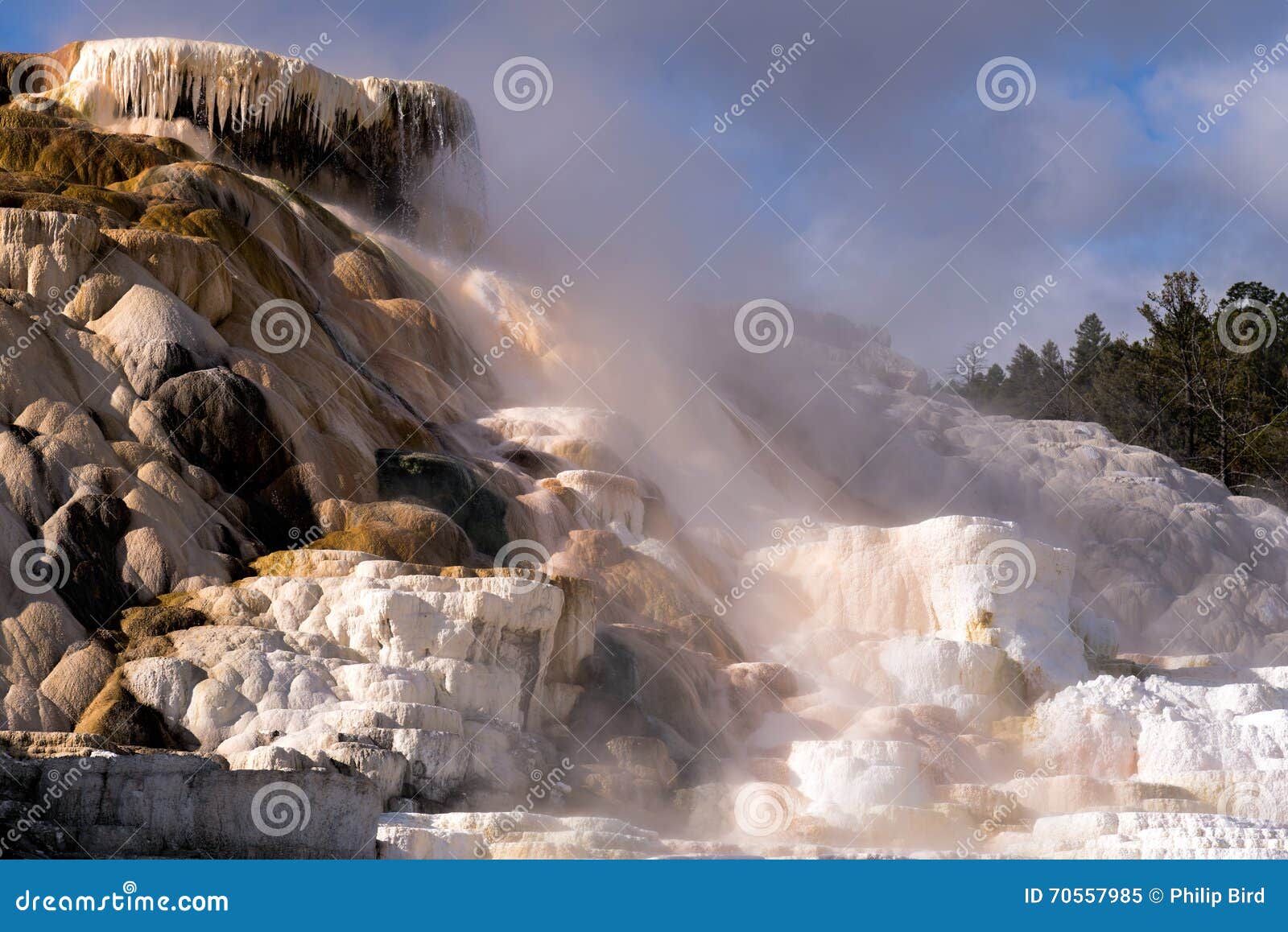 Mammoth Hot Springs stock image. Image of mammoth, heat - 70557985