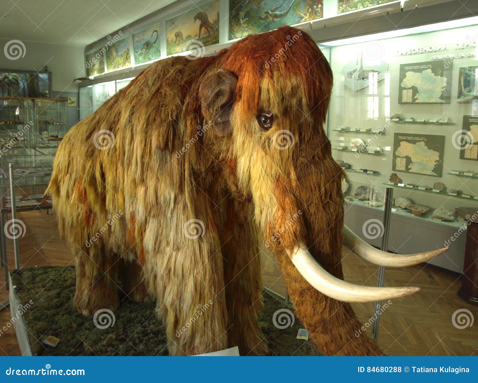 Mammut im Museum redaktionelles stockfoto. Bild von goliath - 84680288