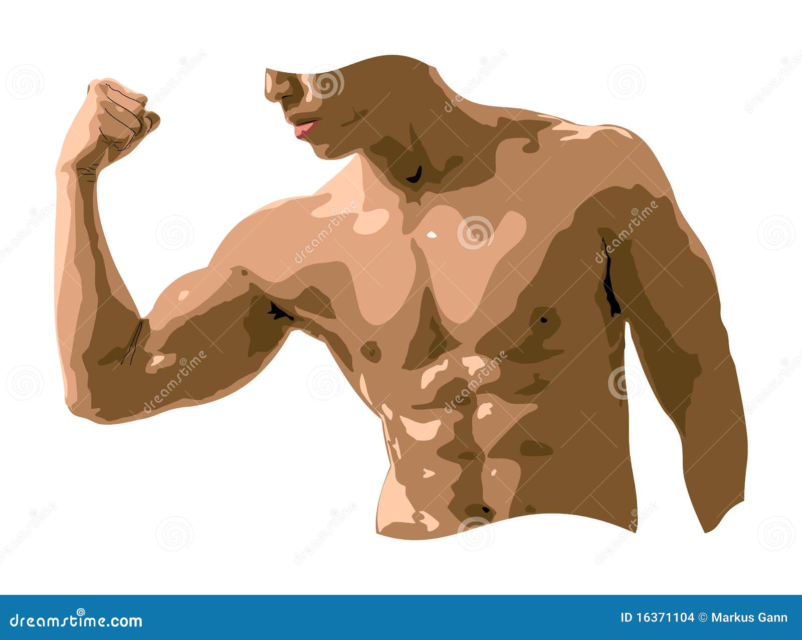 Man stock vector. Illustration of color, adult, flexing - 16371104
