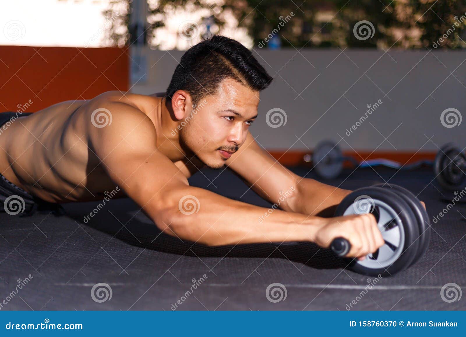 Man with Ab Wheel stock photo. Image of people, fitness - 158760370