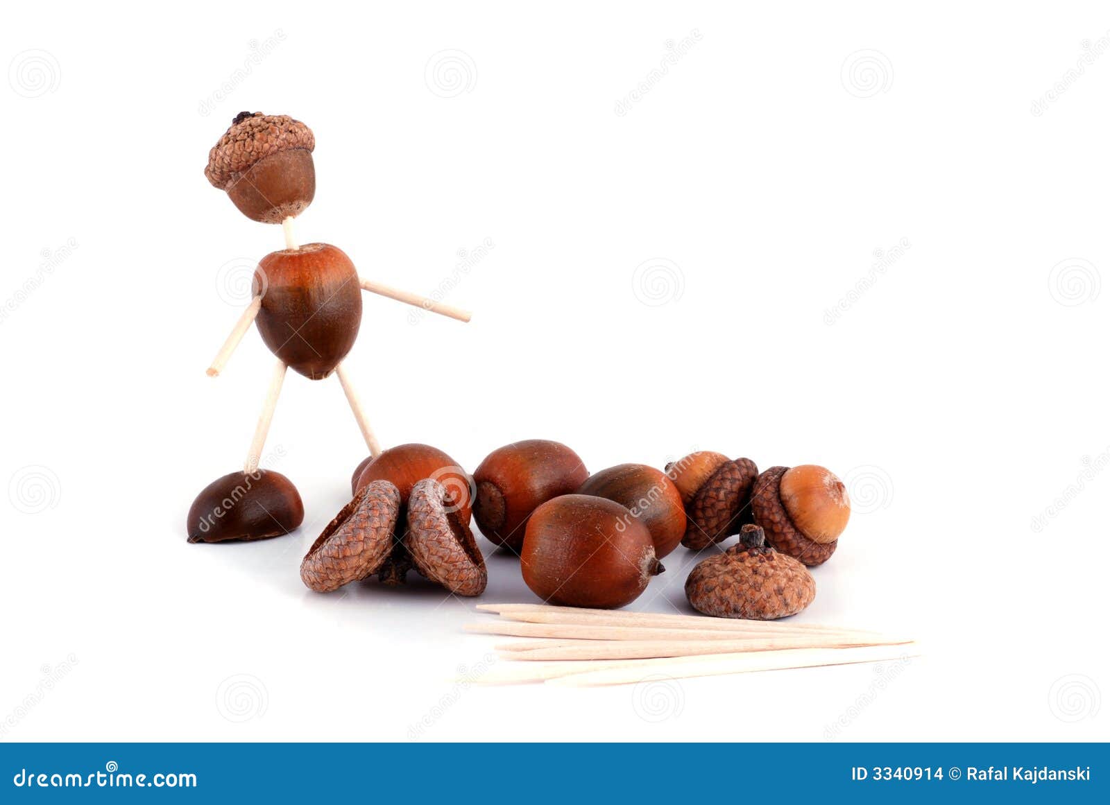 Man from acorn stock photo. Image of creativity, chestnut - 3340914