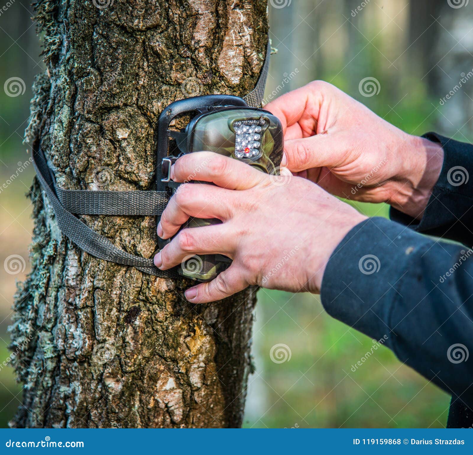 Man Adjusting Camera in Forest Stock Photo - Image of adjusting ...